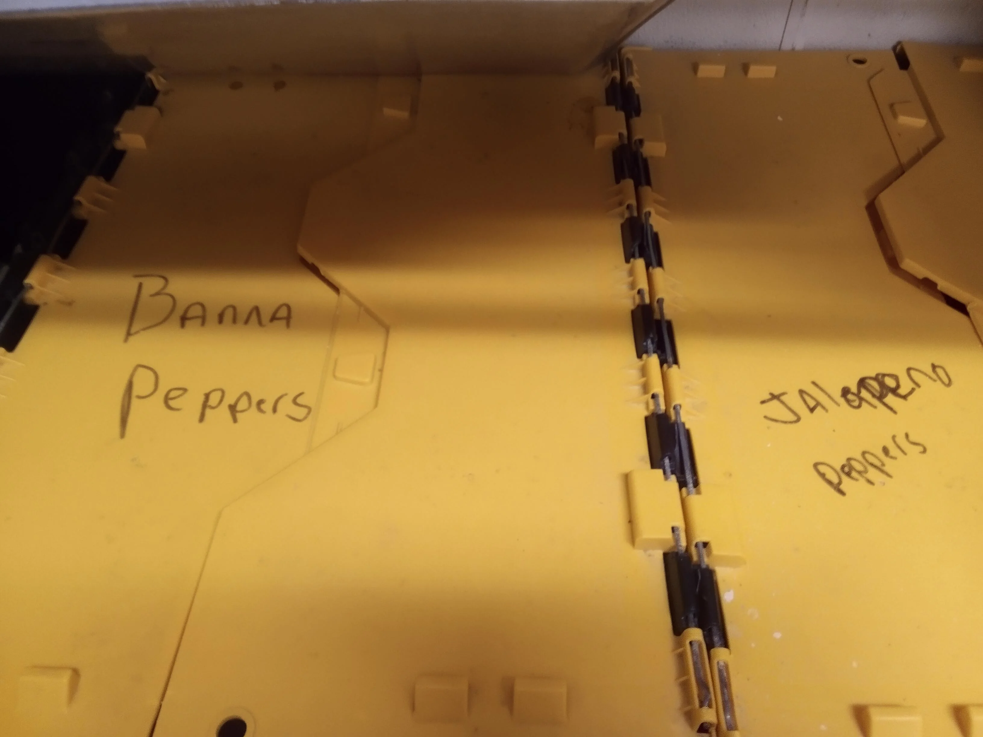 Not Even Close | Scrolller