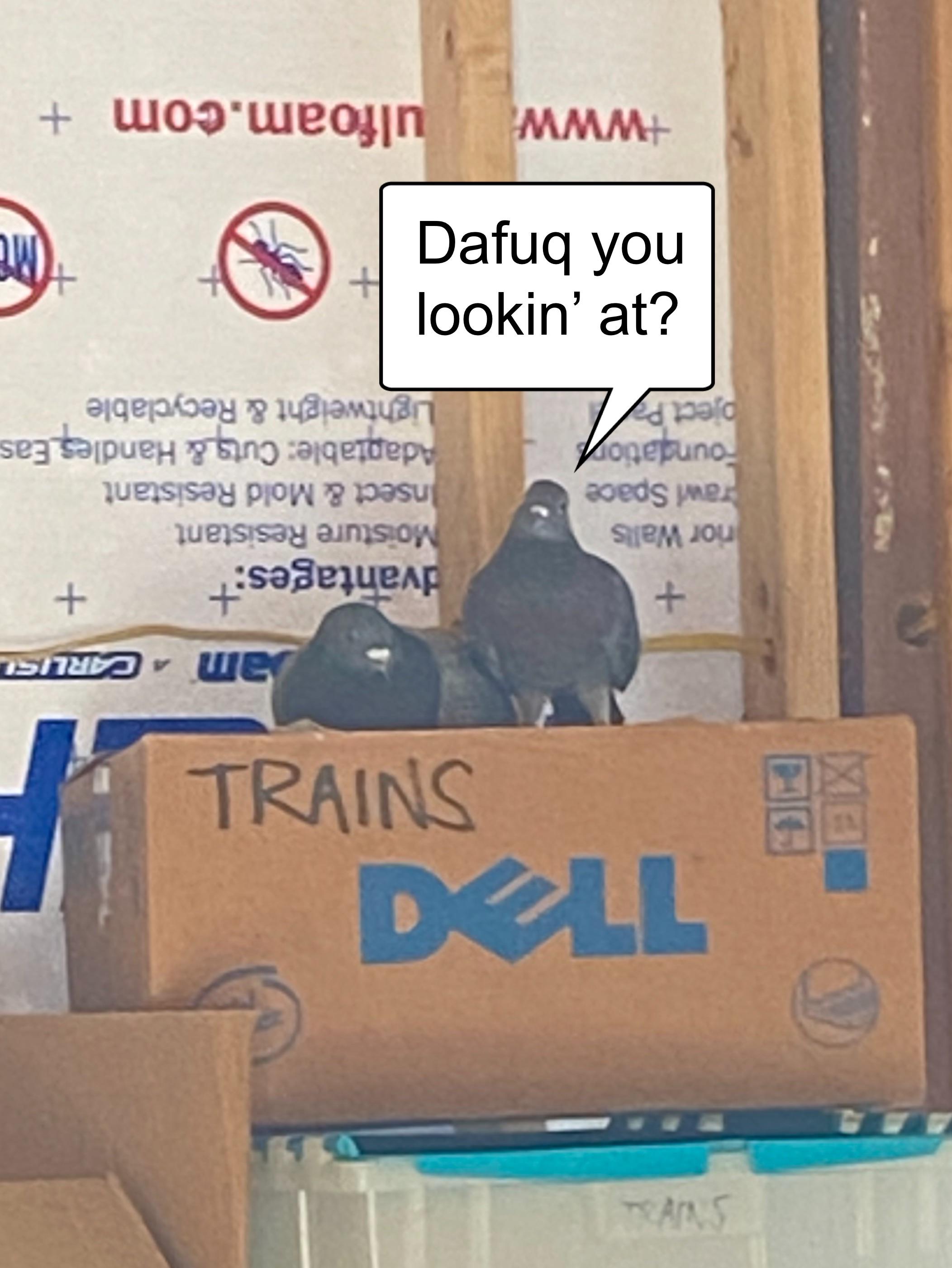 NOT your shed, Carl. | Scrolller