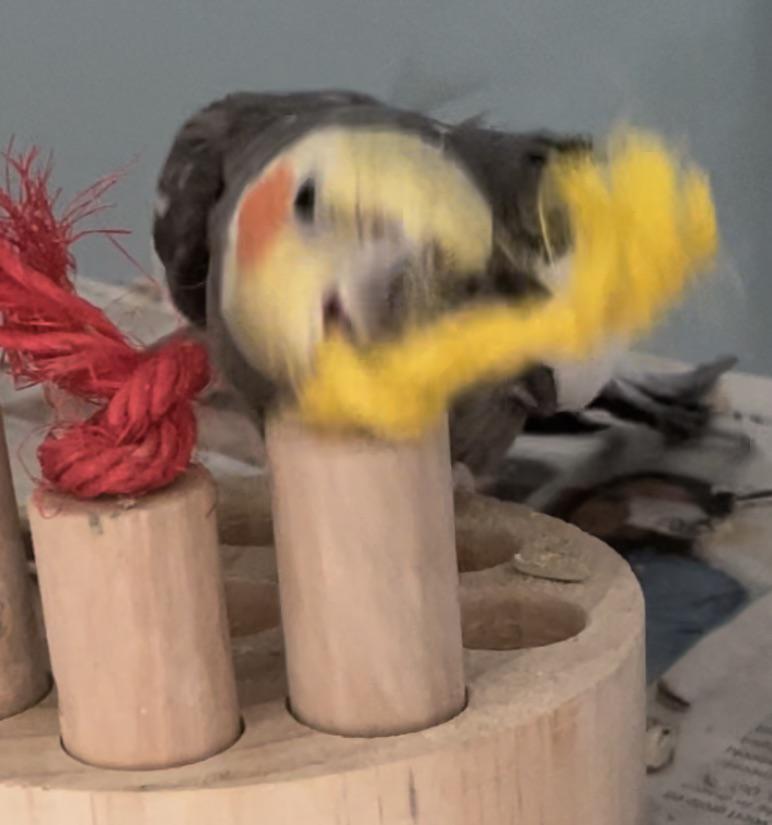 The moods of Pico | Scrolller