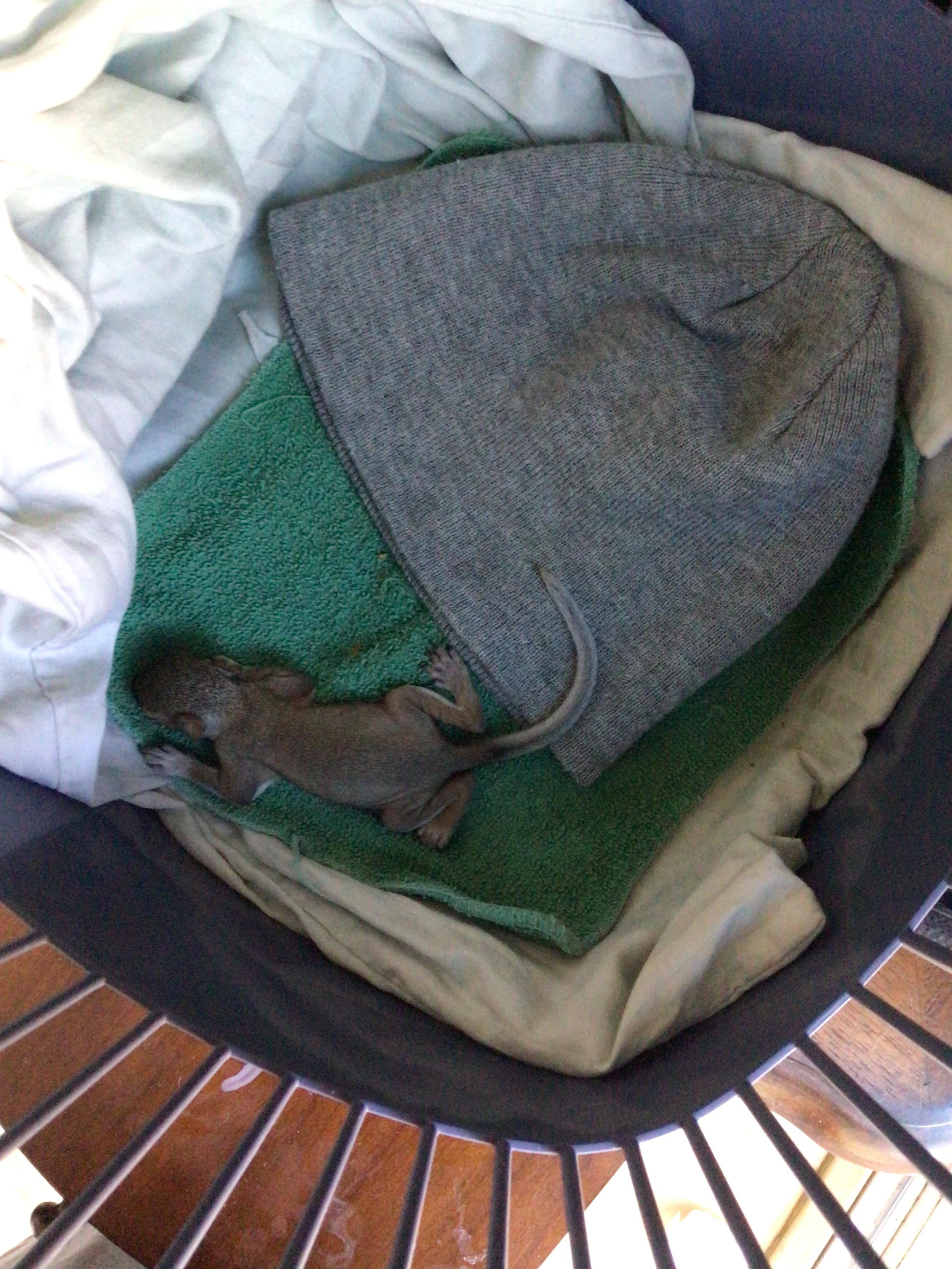 Creed is Growing | Scrolller