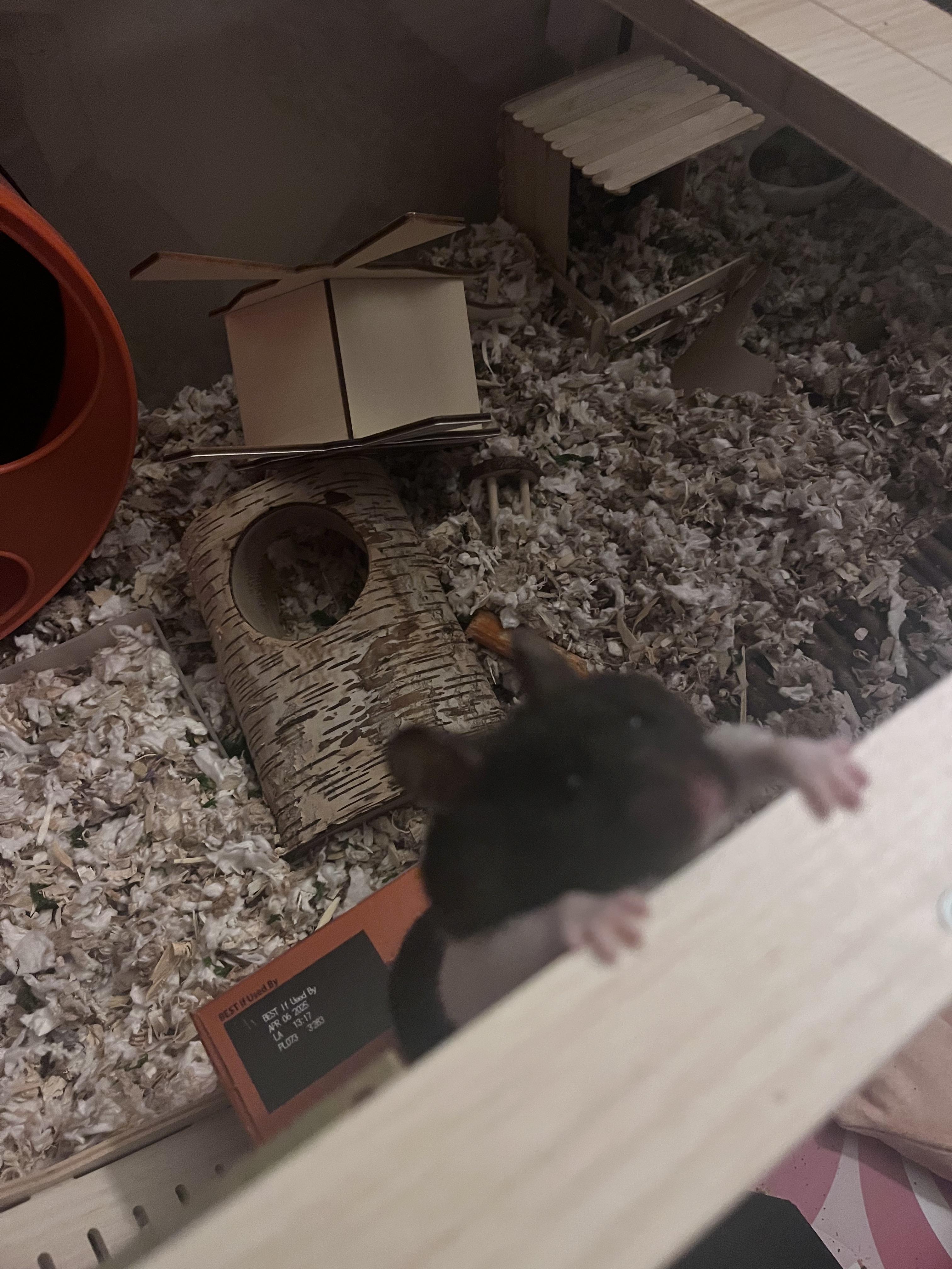 Master escape plan | Scrolller