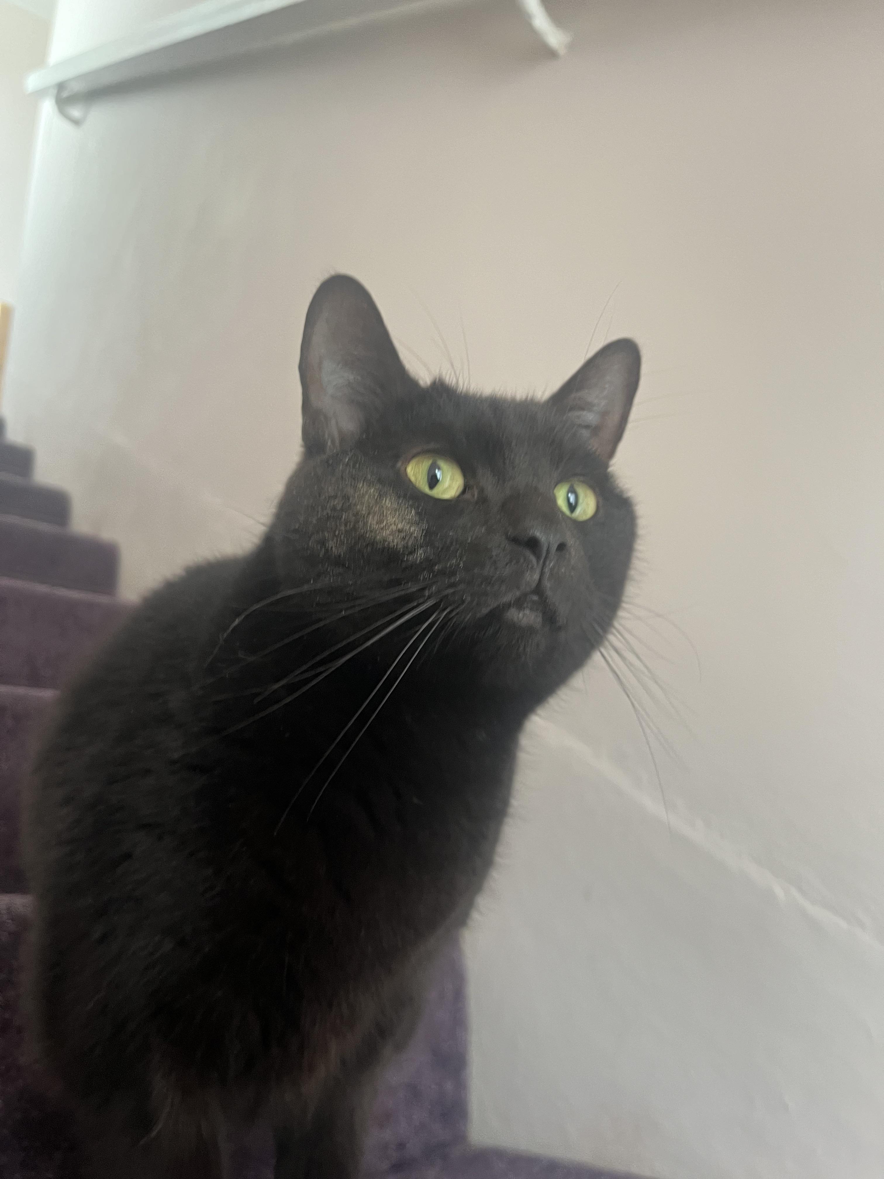 Dusty void | Scrolller