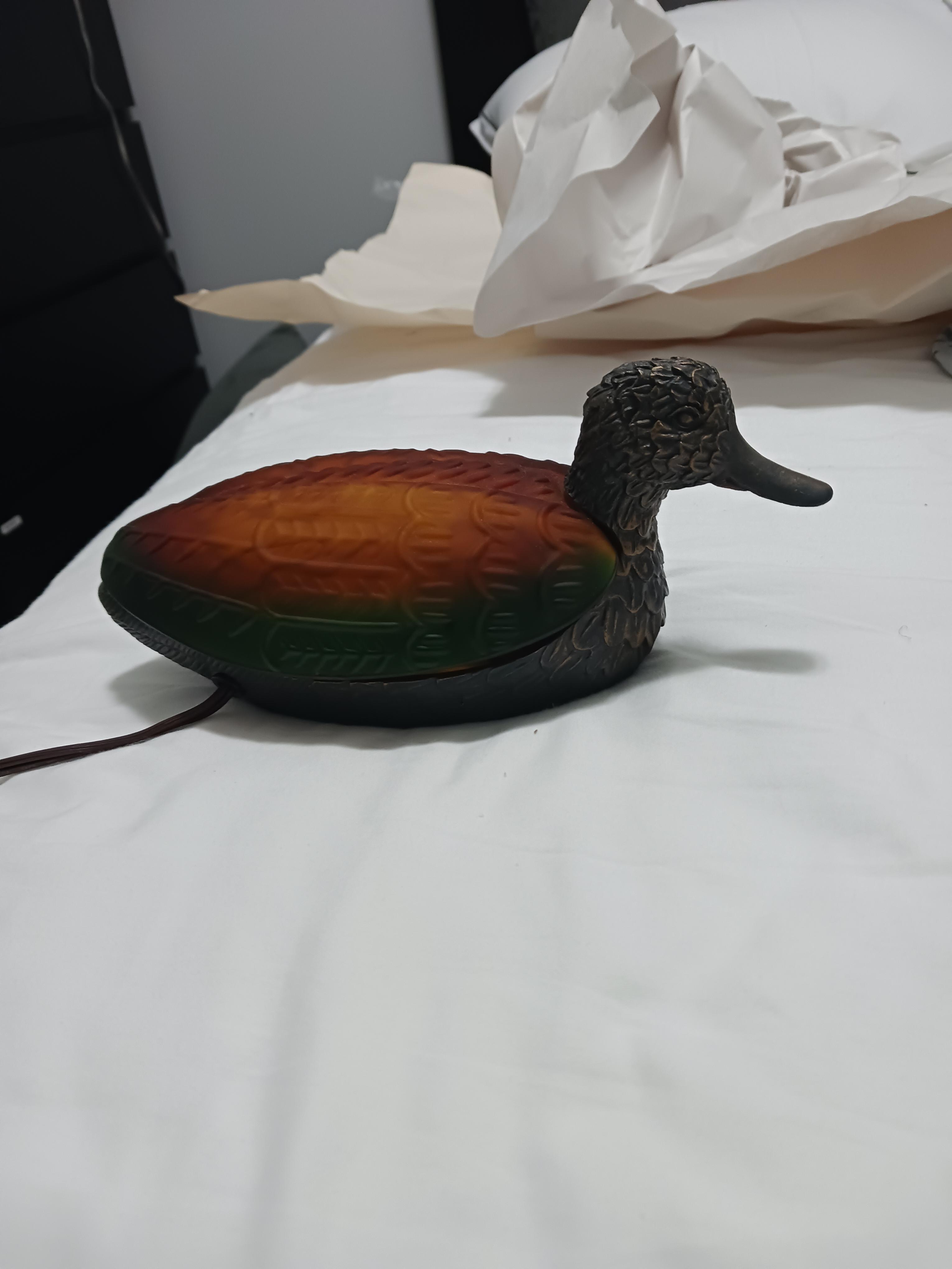 Duck Lamp! | Scrolller