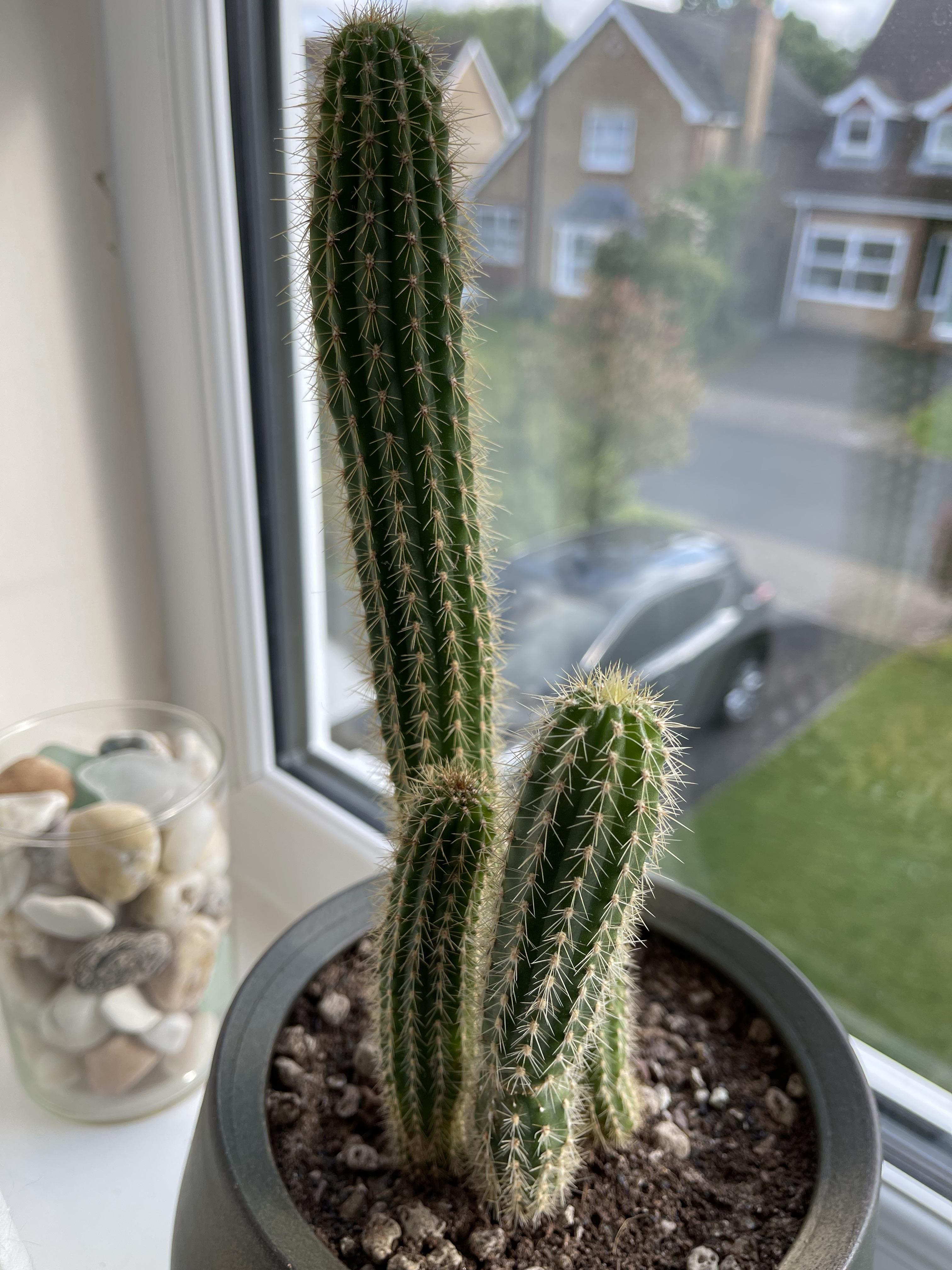 More soil for support? | Scrolller