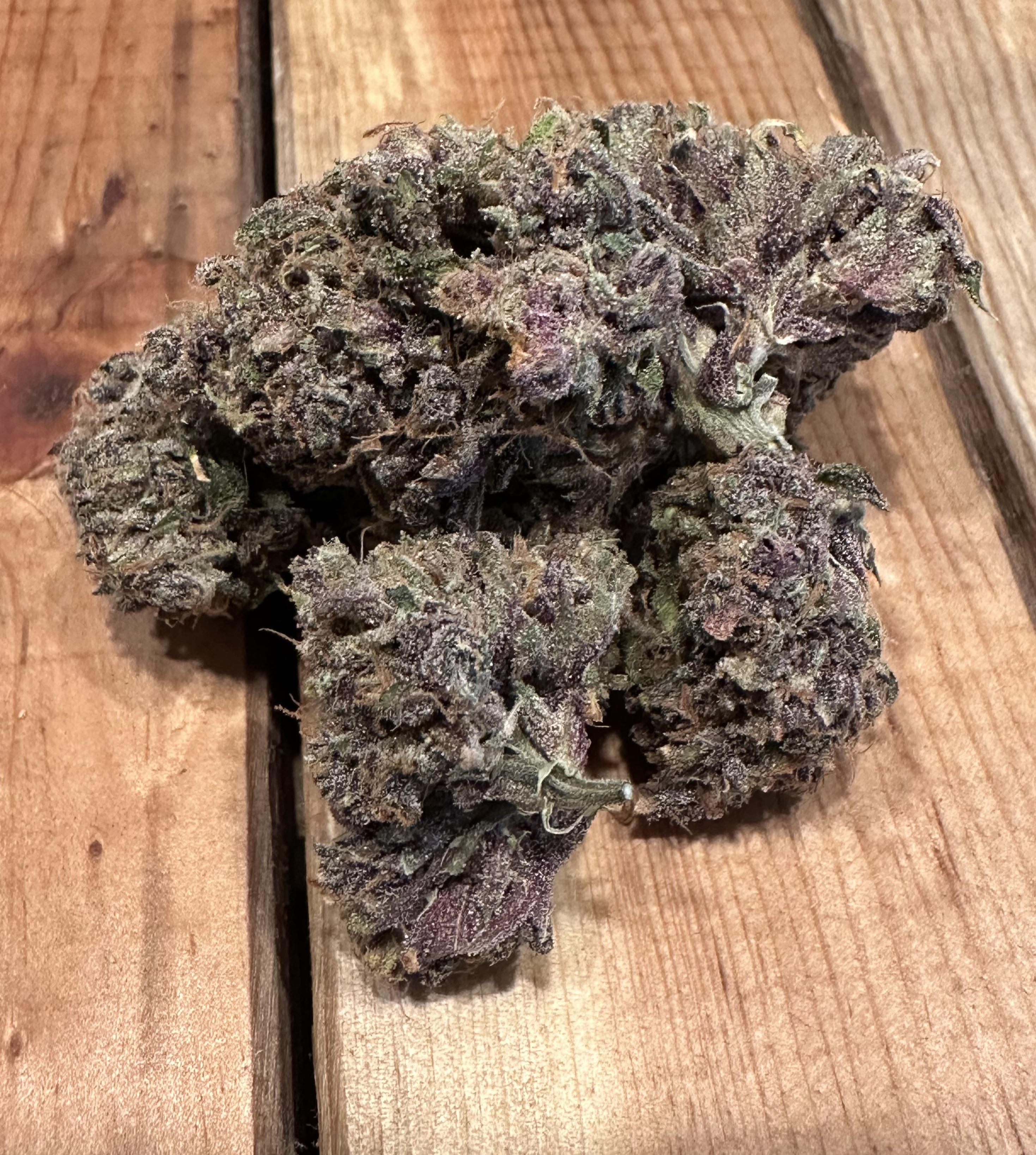 Night Owl Midnight Marathon | Scrolller