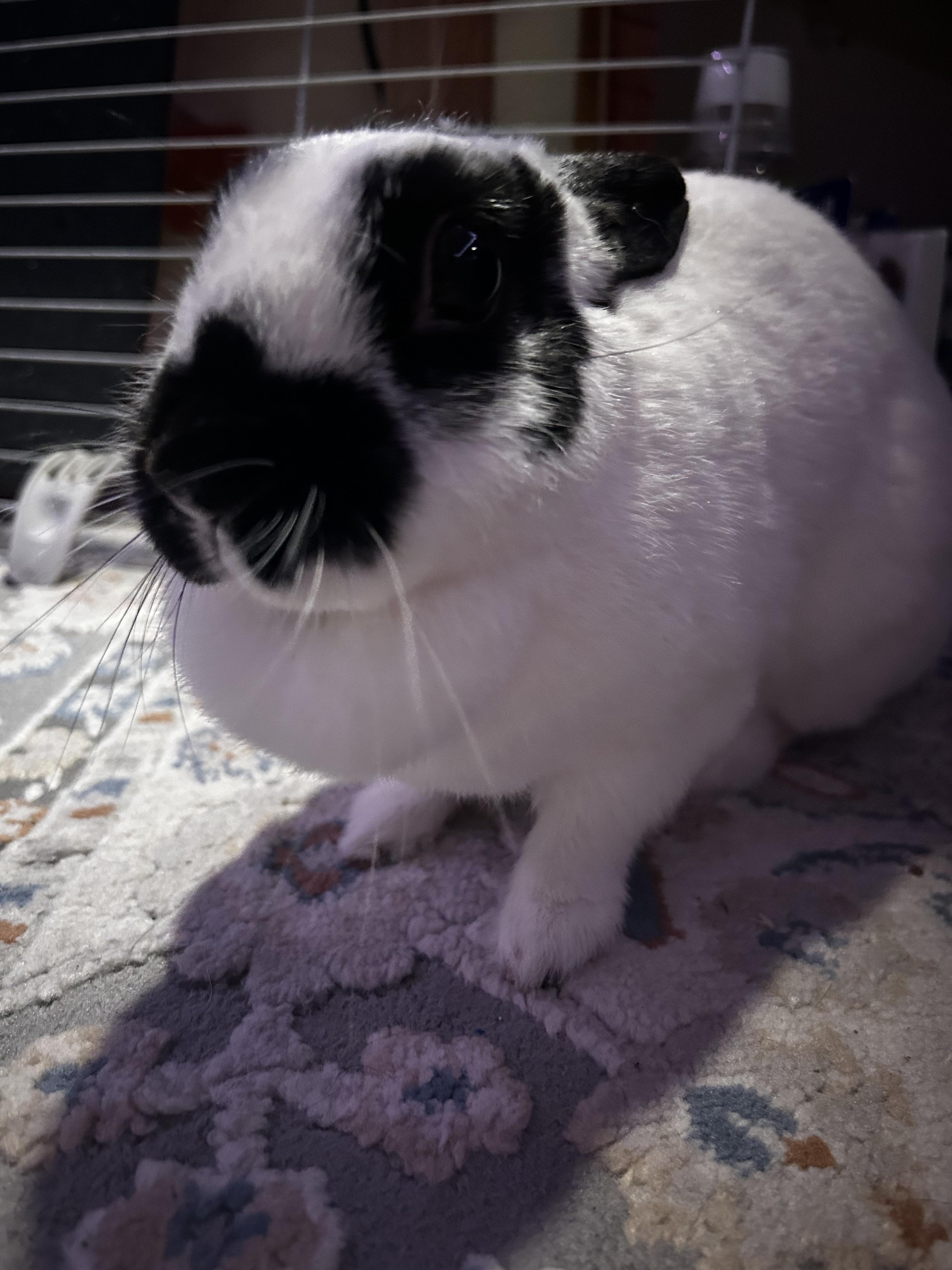 What is she thinking about | Scrolller