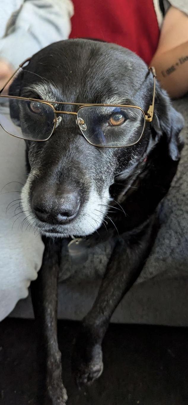 In her Old Lady Era | Scrolller