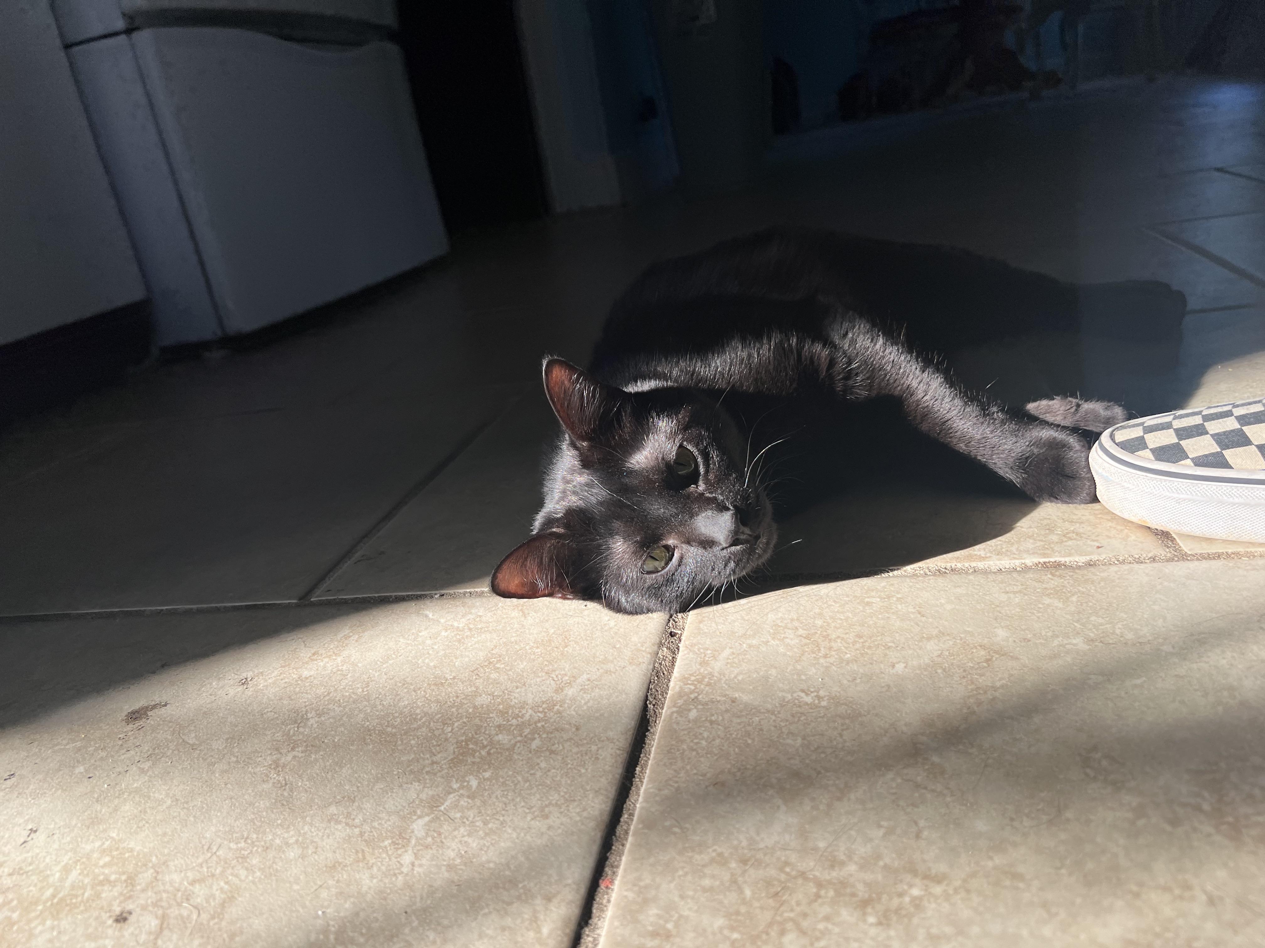 My Three Voids | Scrolller