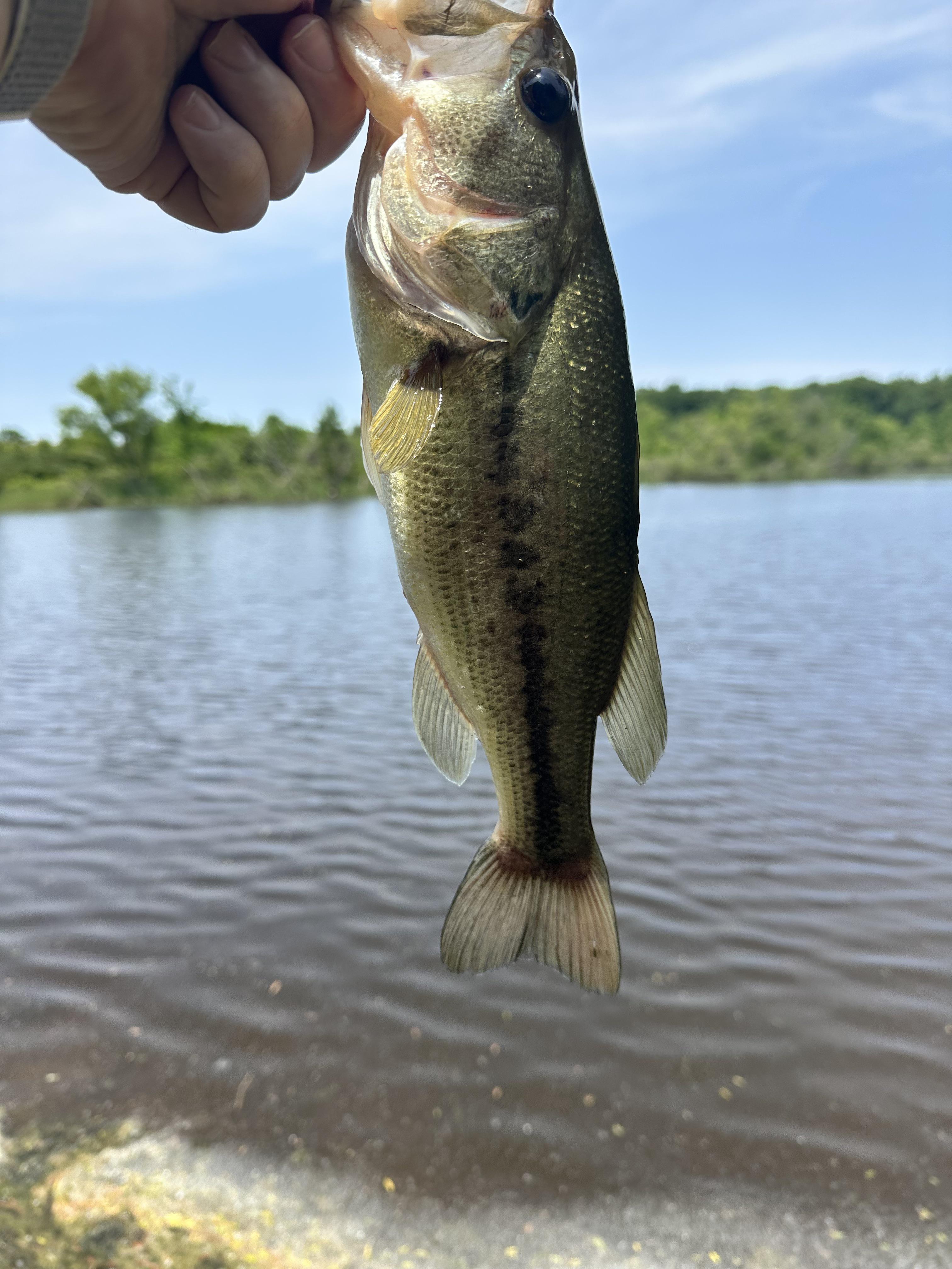 Left work early to meet with the plumber. Ended up not going back because it was so nice out ...