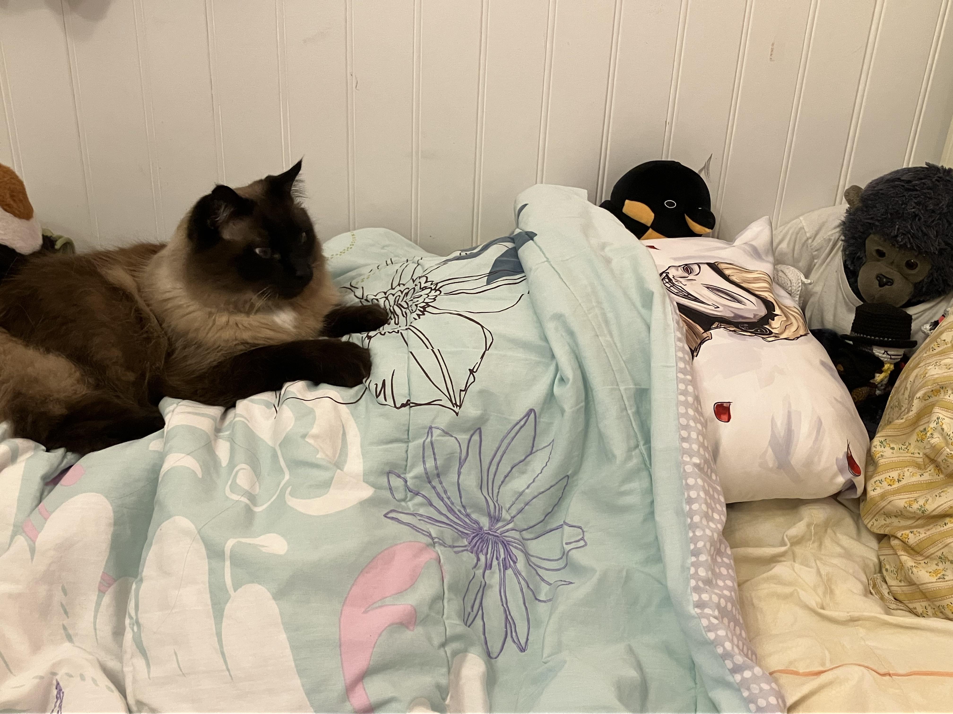 Marvelous chester body pillow | Scrolller