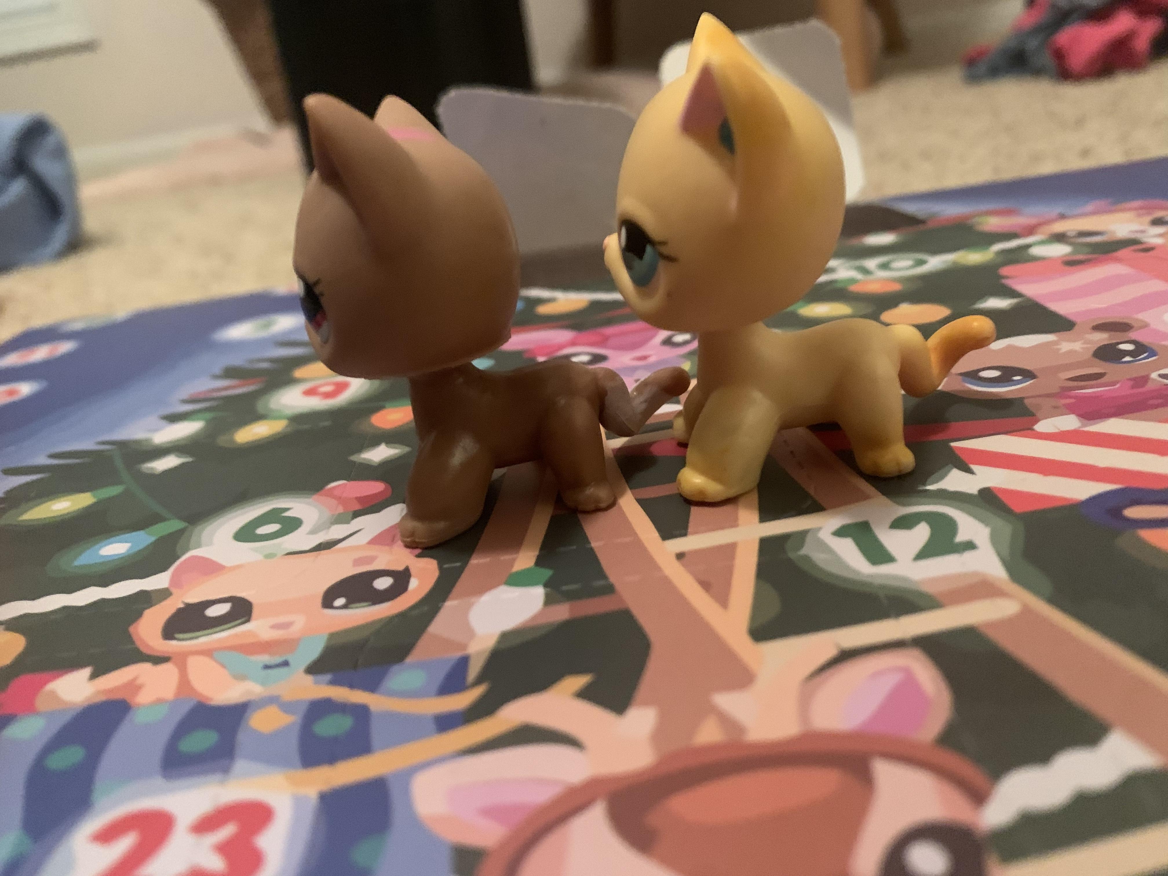 WHAT DID I JUST FIND IN MY LPS CALENDAR | Scrolller