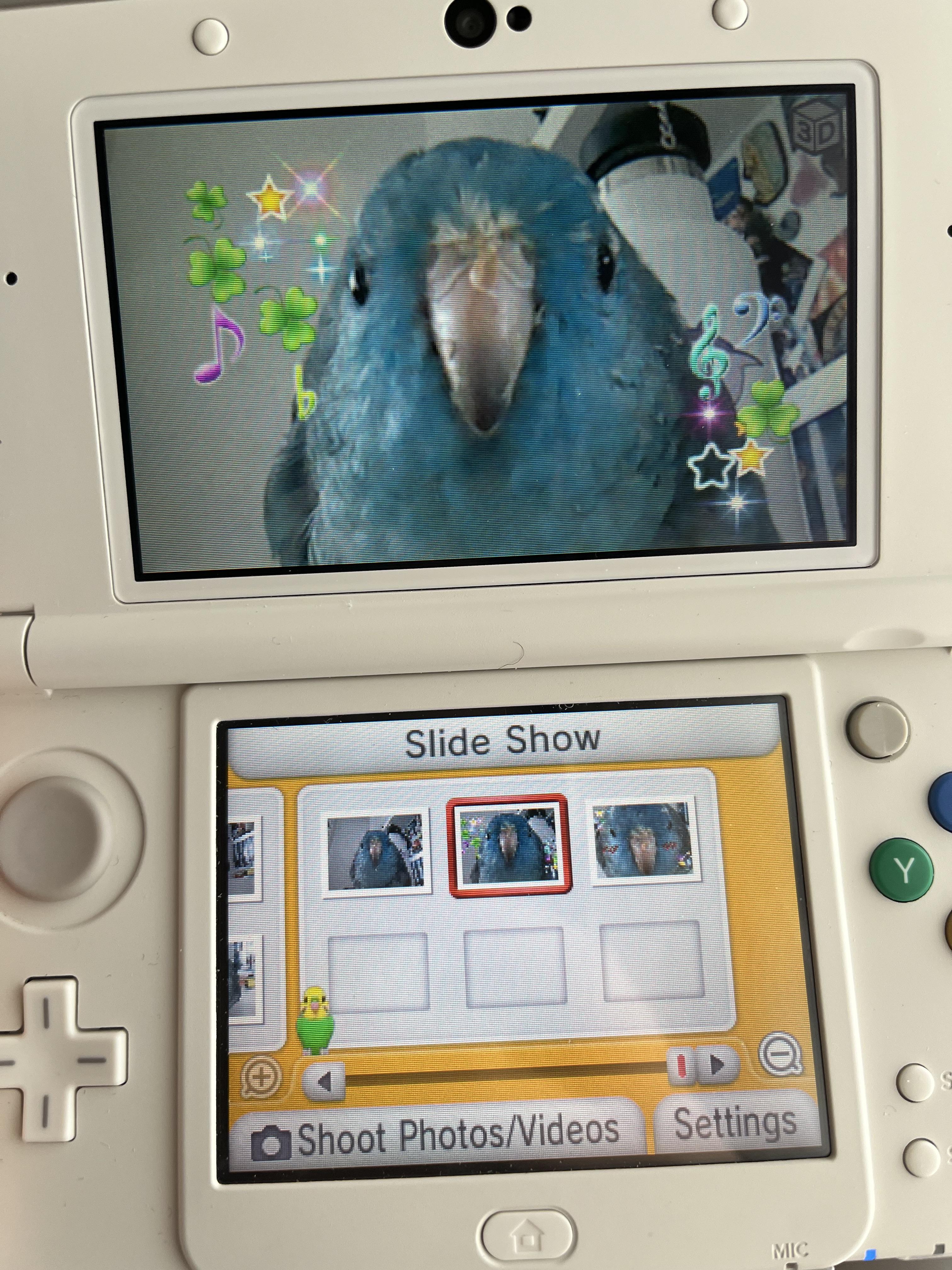 Rio on da 3ds | Scrolller