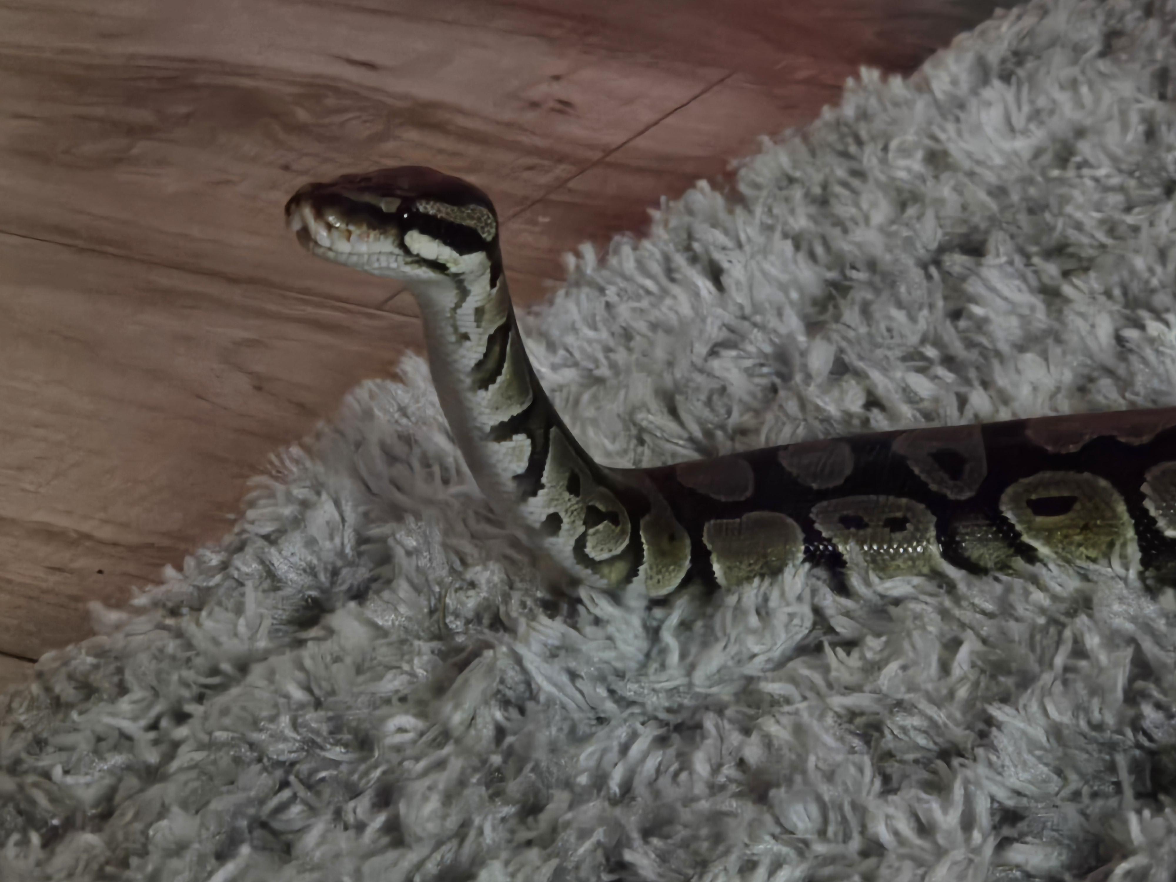 PVC Enclosures | Scrolller