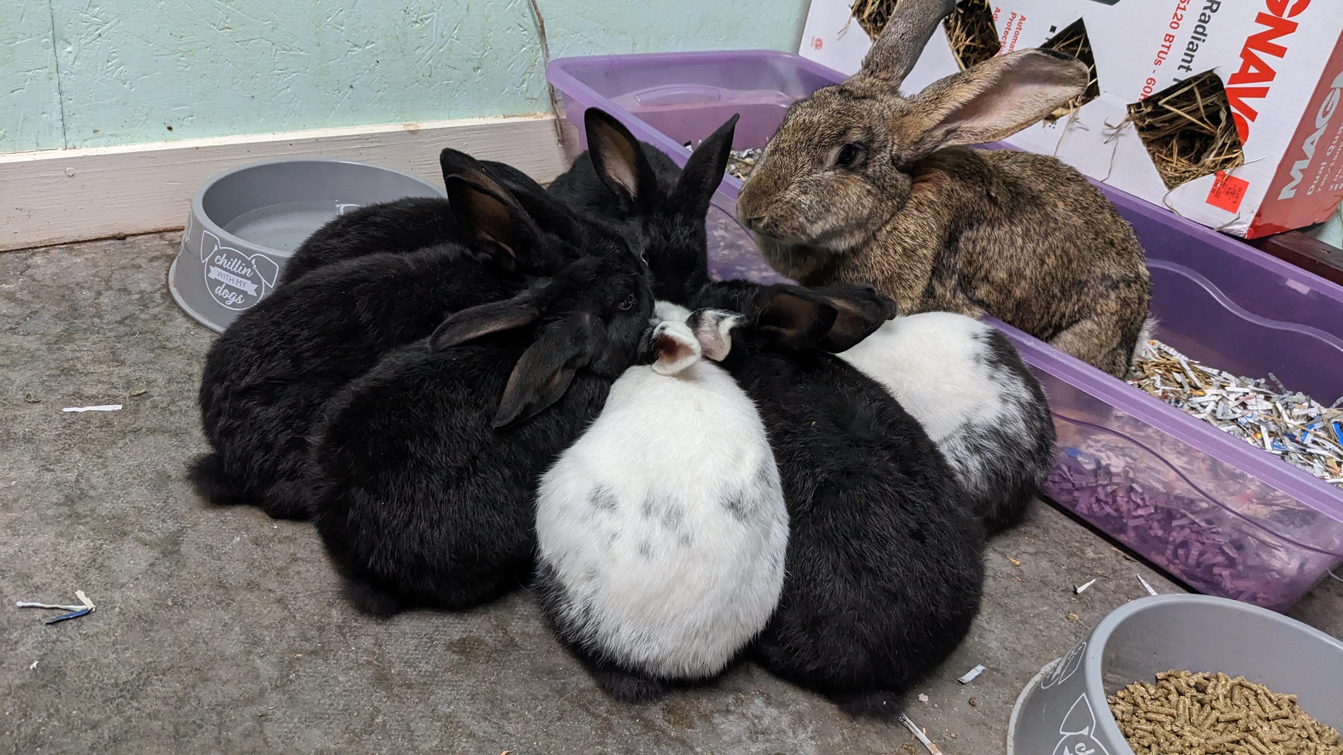 "I'll have what he's having" full combo achieved | Scrolller