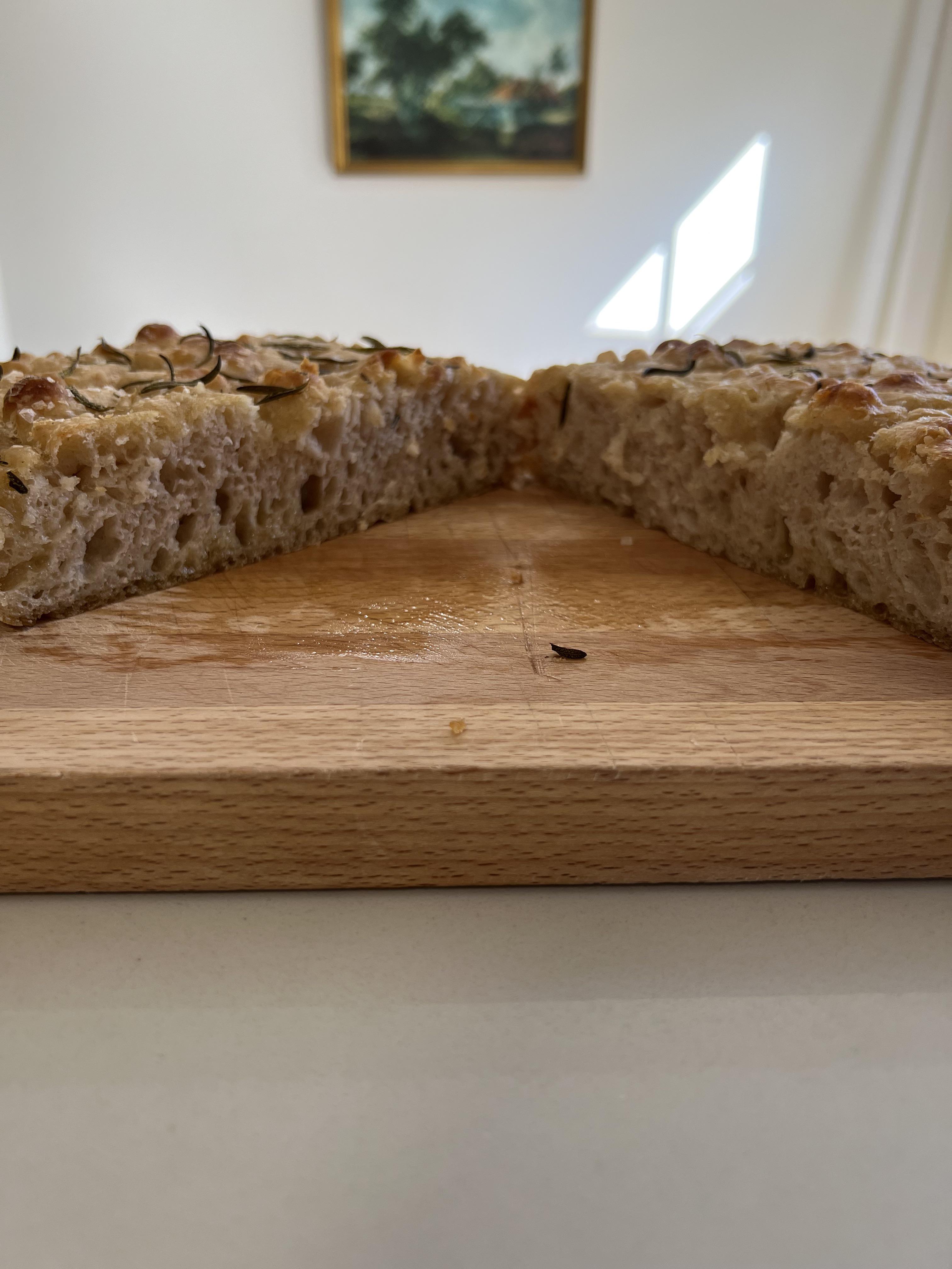 2nd attempt at sourdough focaccia featuring more patience | Scrolller