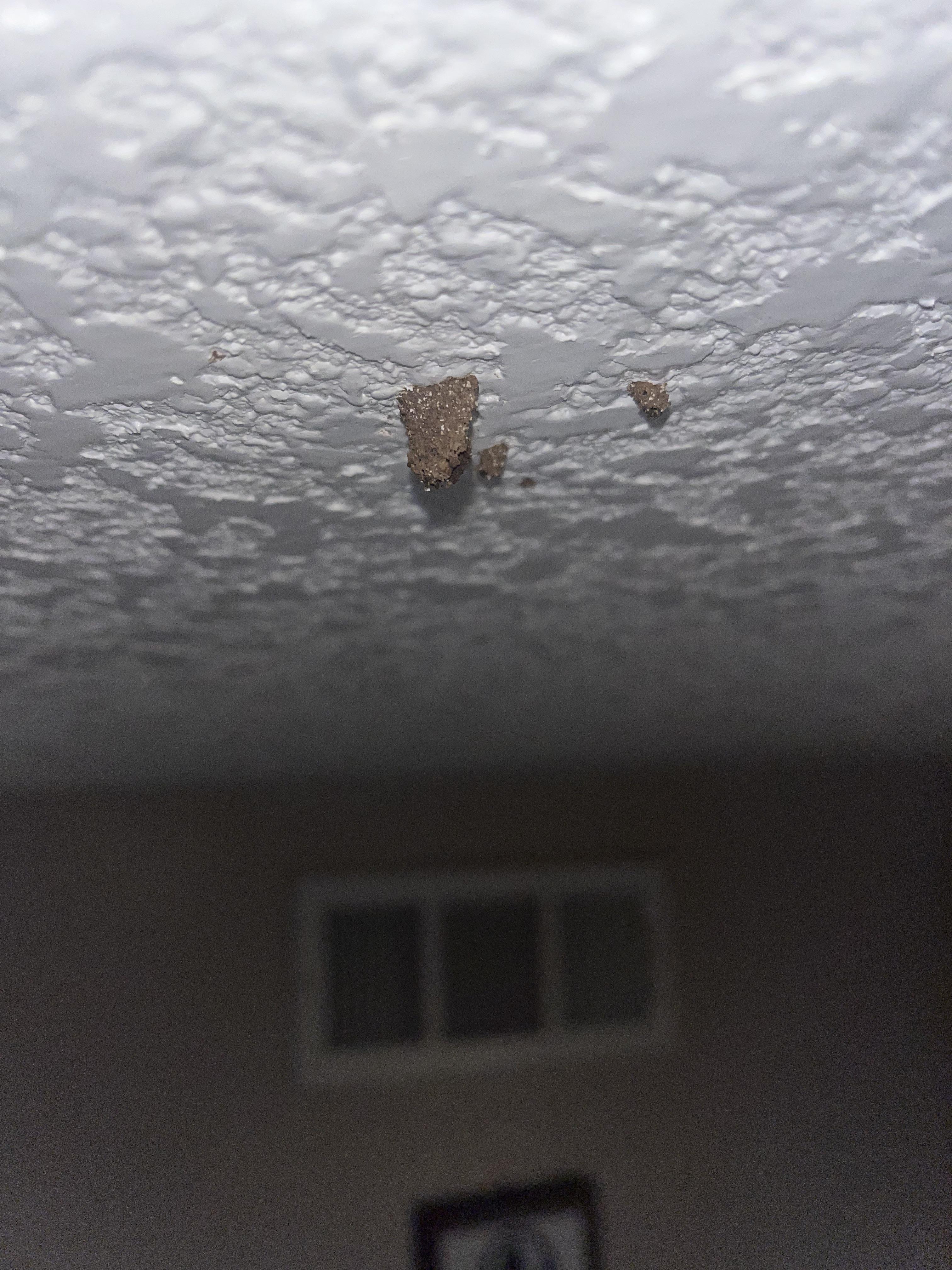 Weird shit on my ceiling | Scrolller