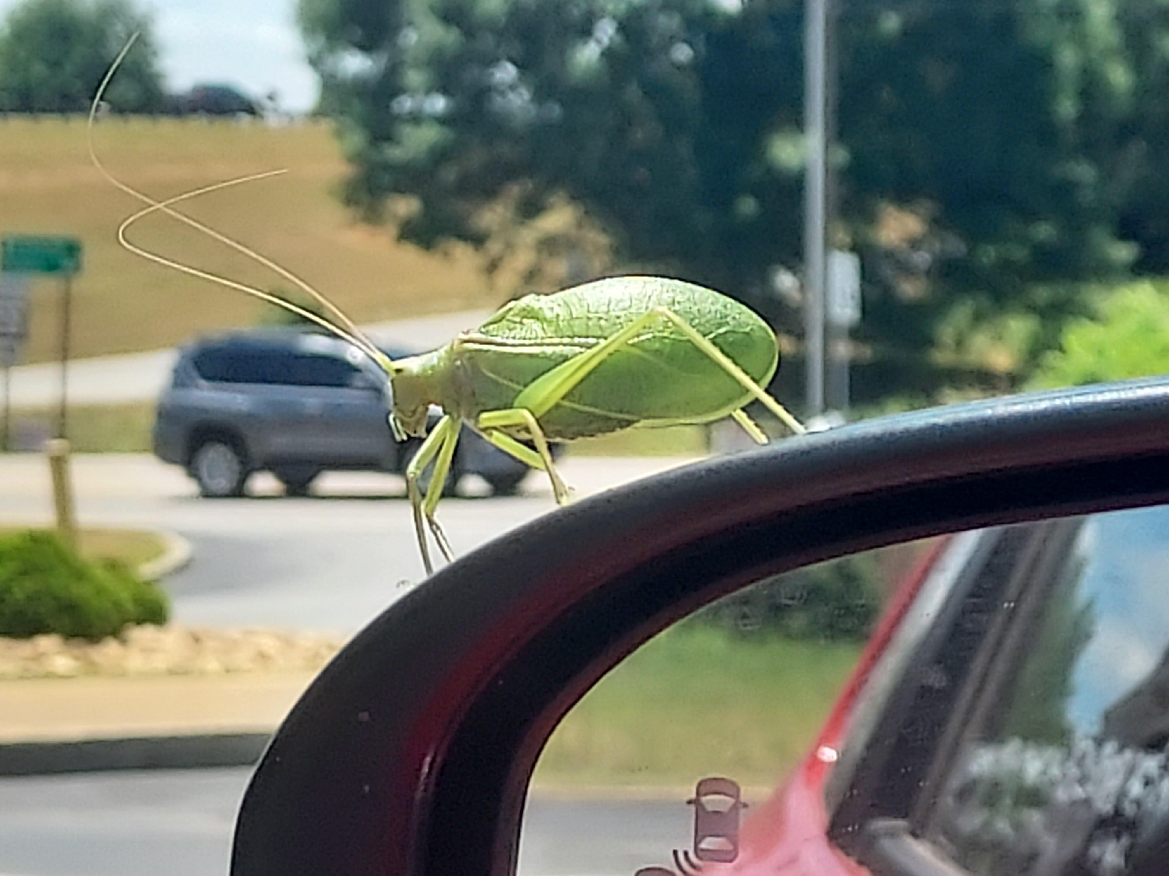 Erm, what is this? | Scrolller