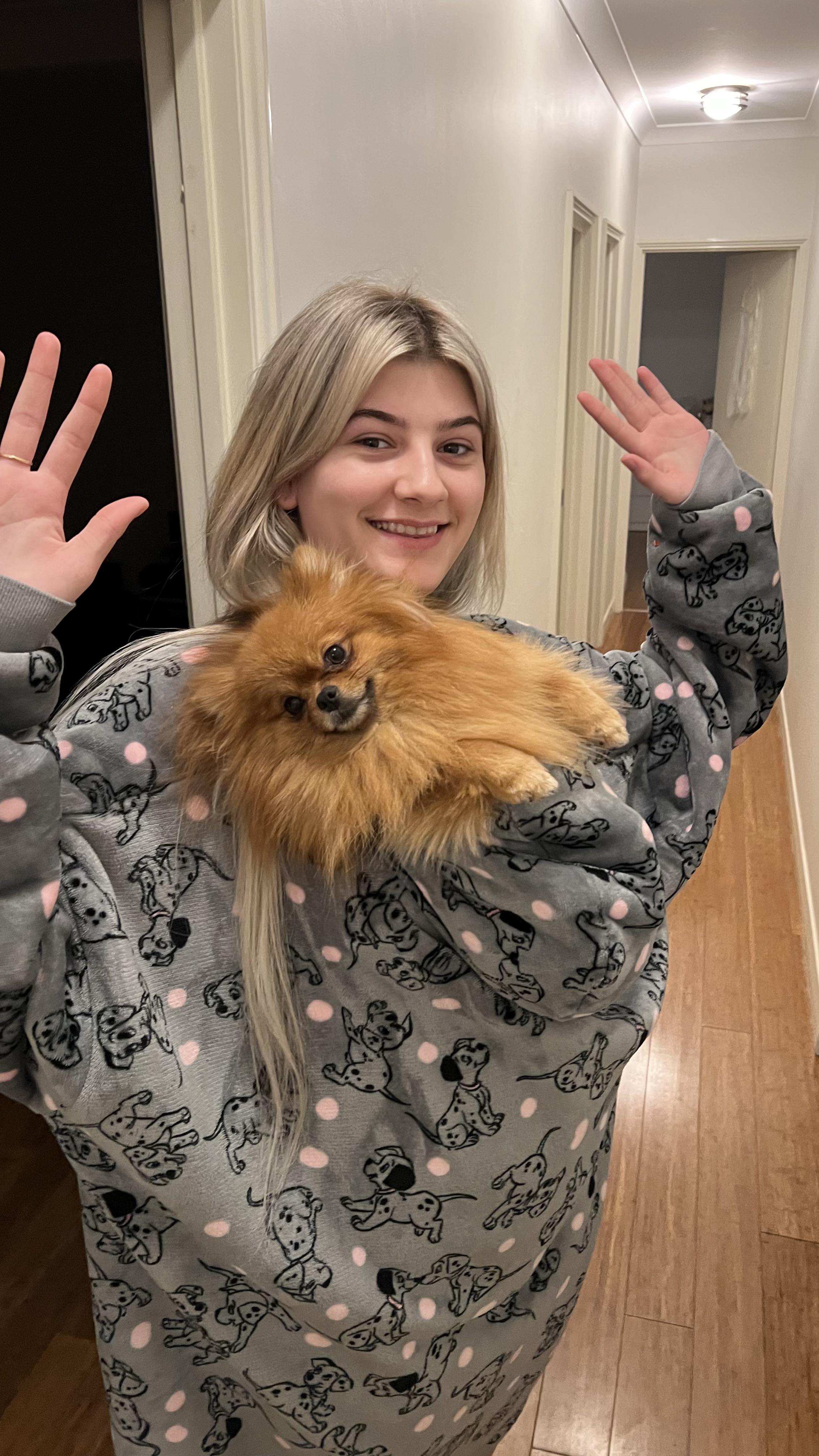 GiGi our little Pom | Scrolller