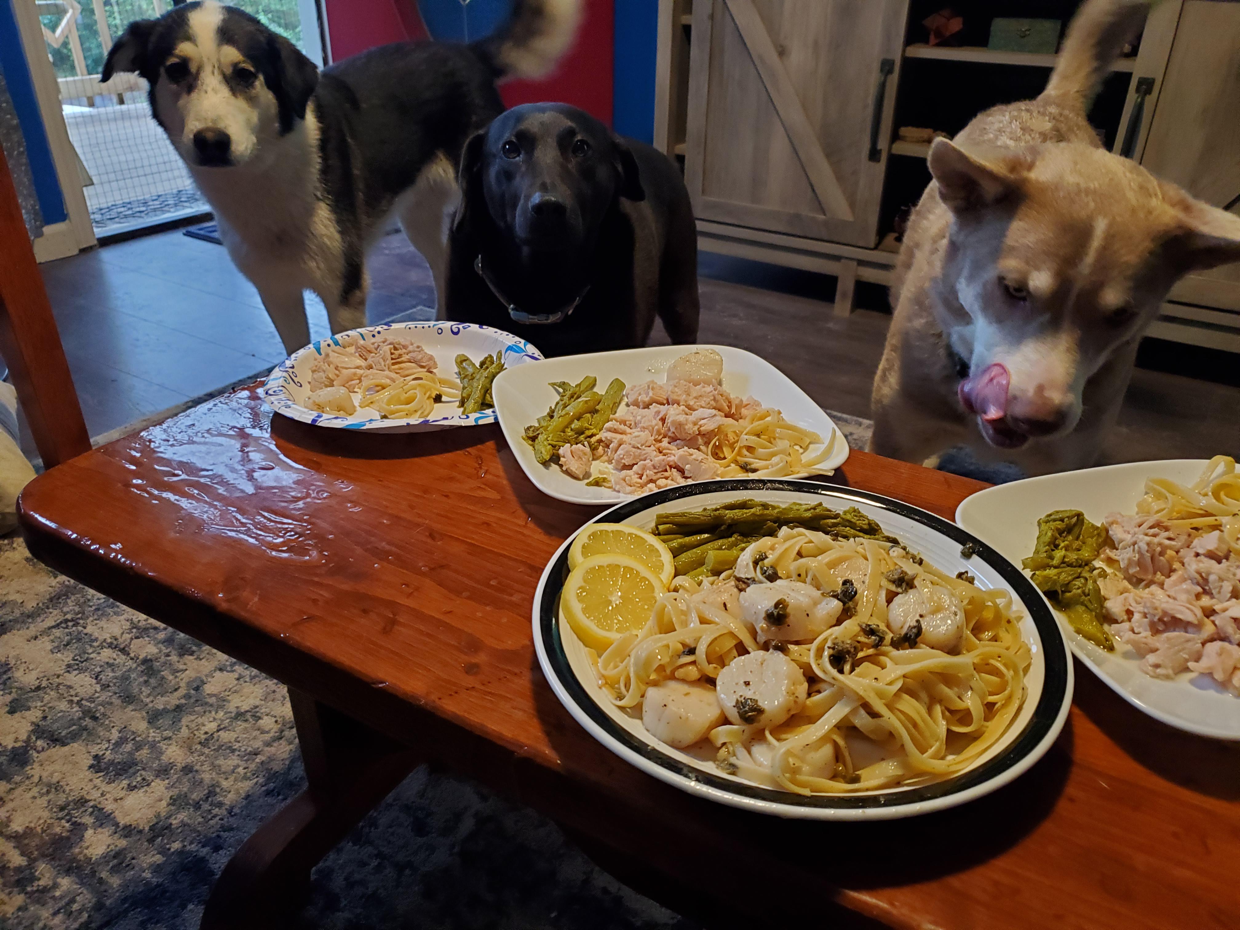 Scallop Picatta [Homemade] | Scrolller