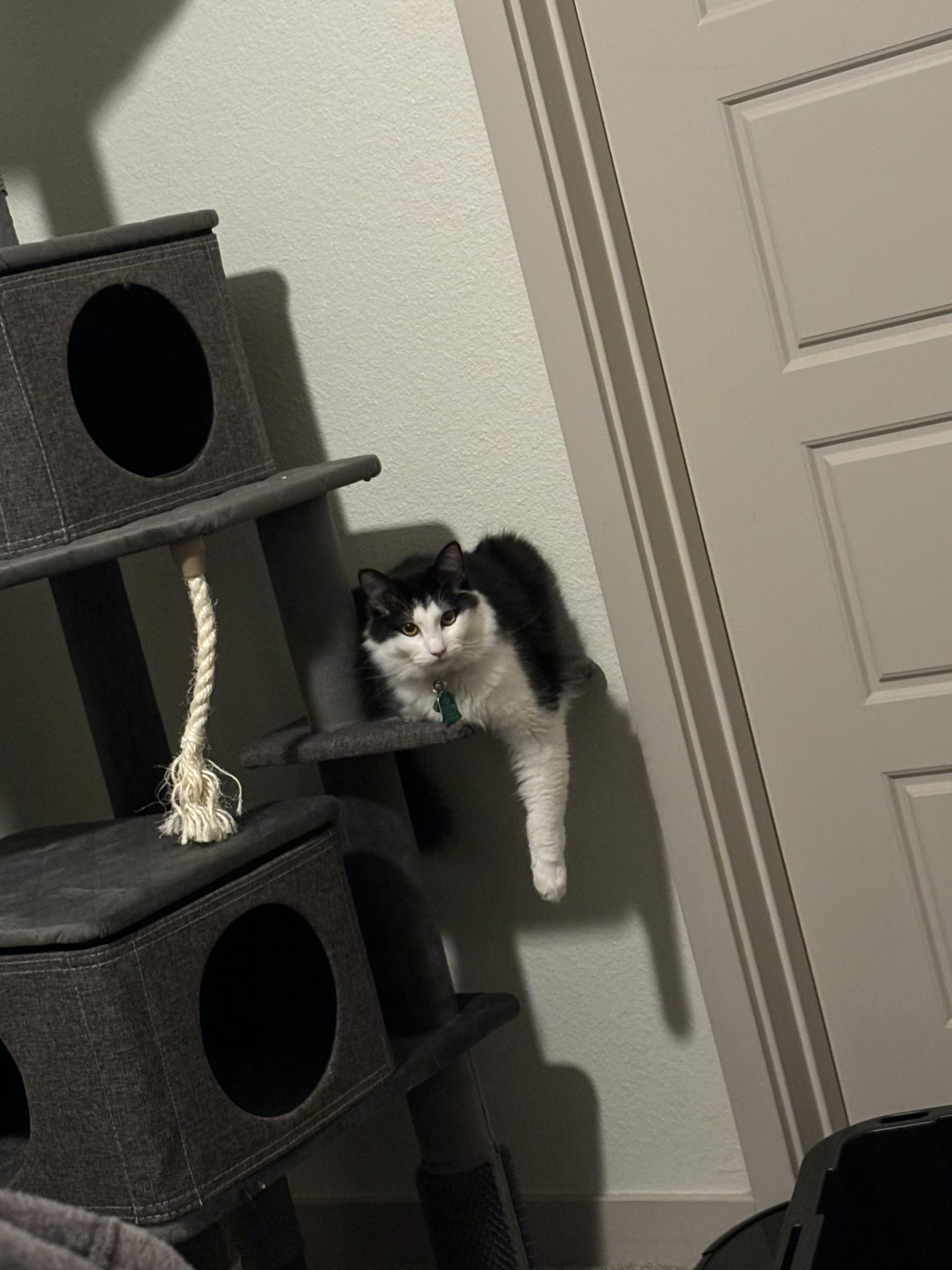 Iroh melting | Scrolller