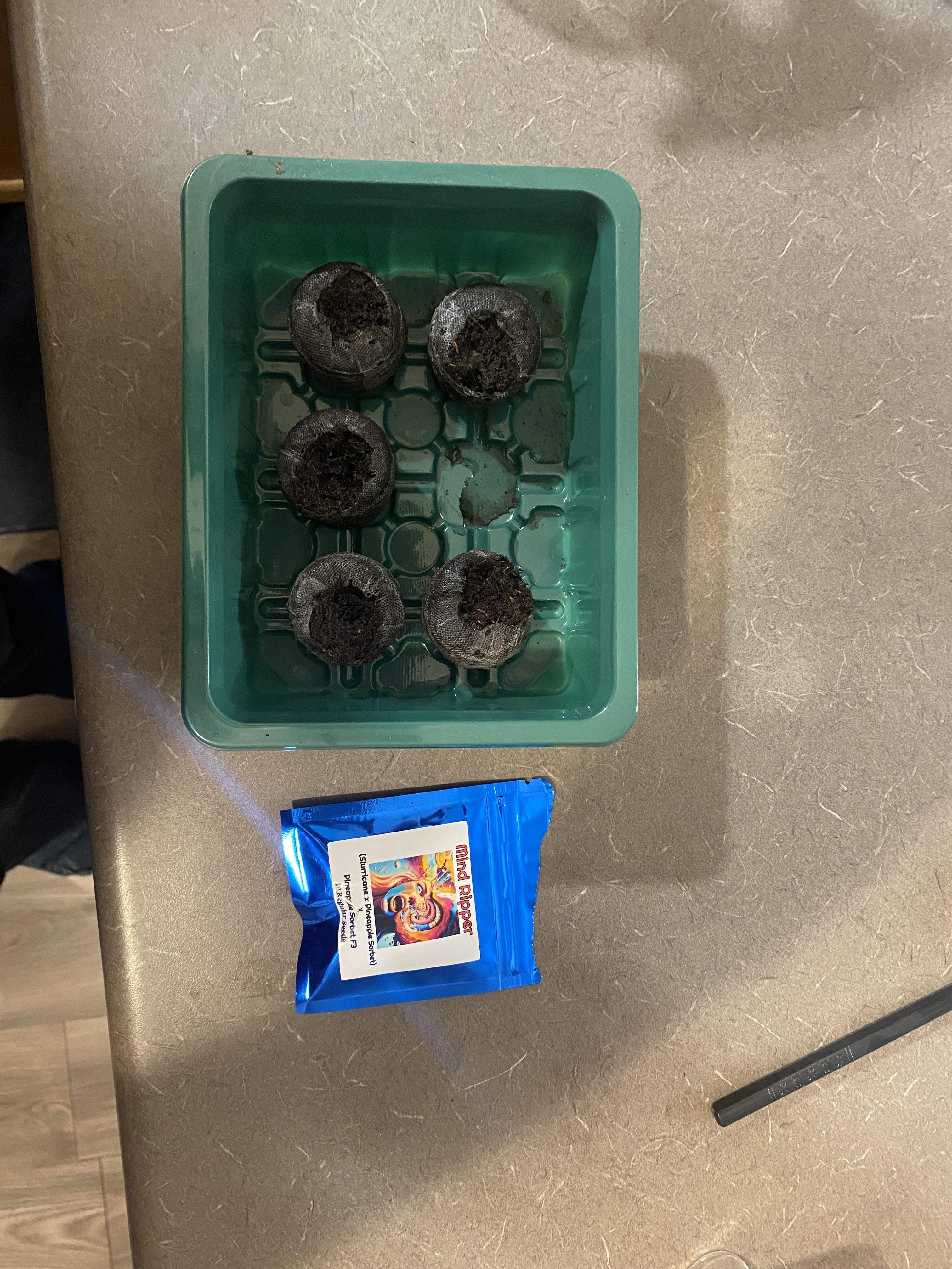 Full grow | Scrolller