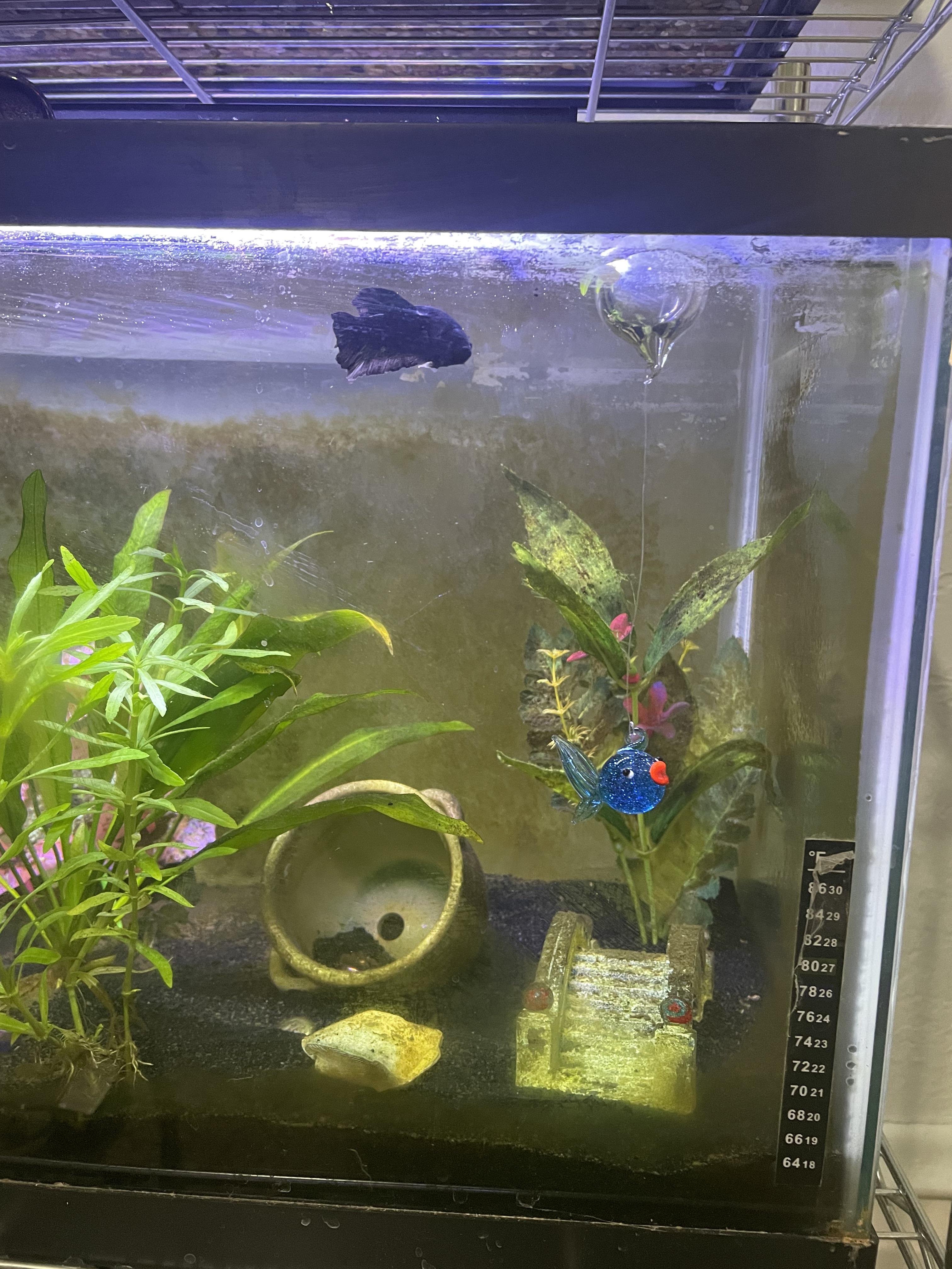 “What the actual hell is that???” | Scrolller