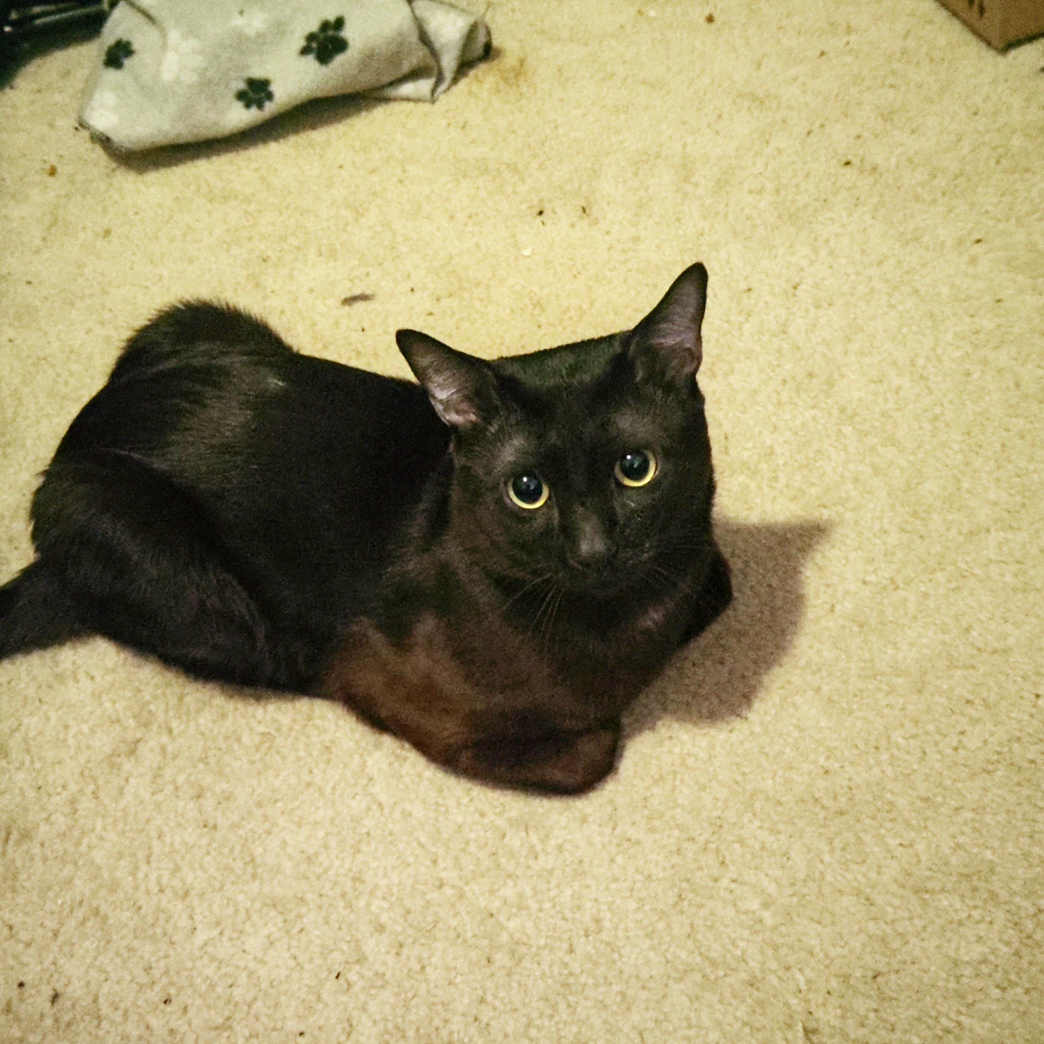 Void loaf | Scrolller
