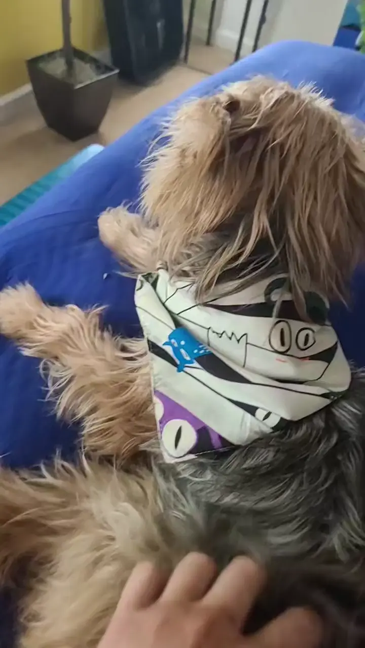 Old lady happy noises (volume up) | Scrolller