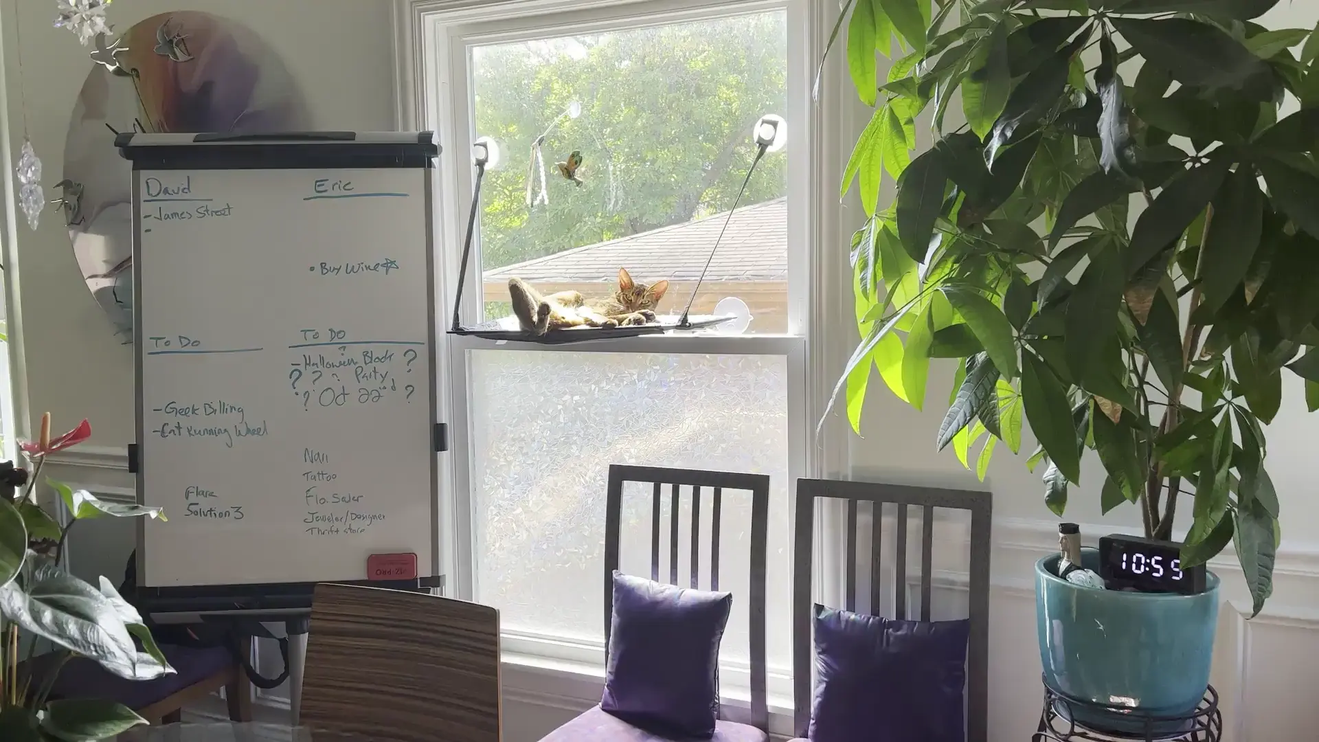 Oliver is an exhibitionist | Scrolller