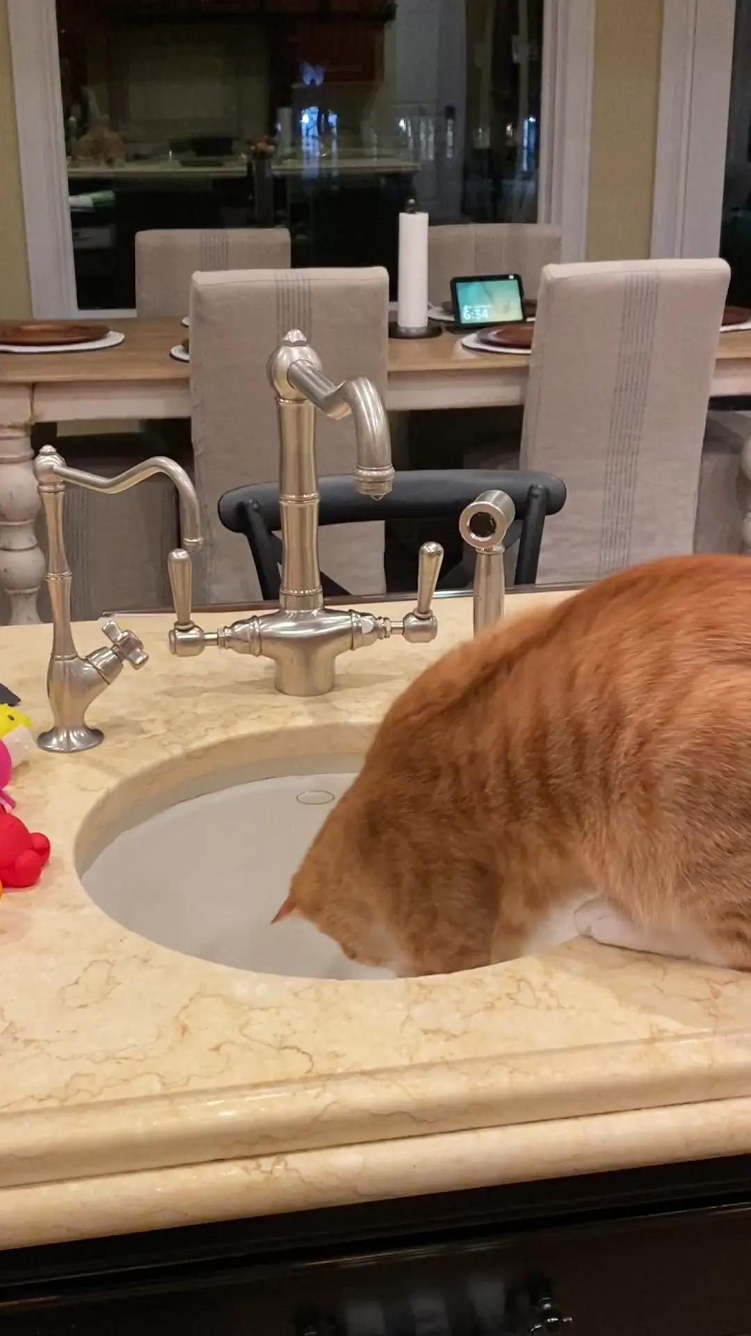 One brain cell working overtime | Scrolller