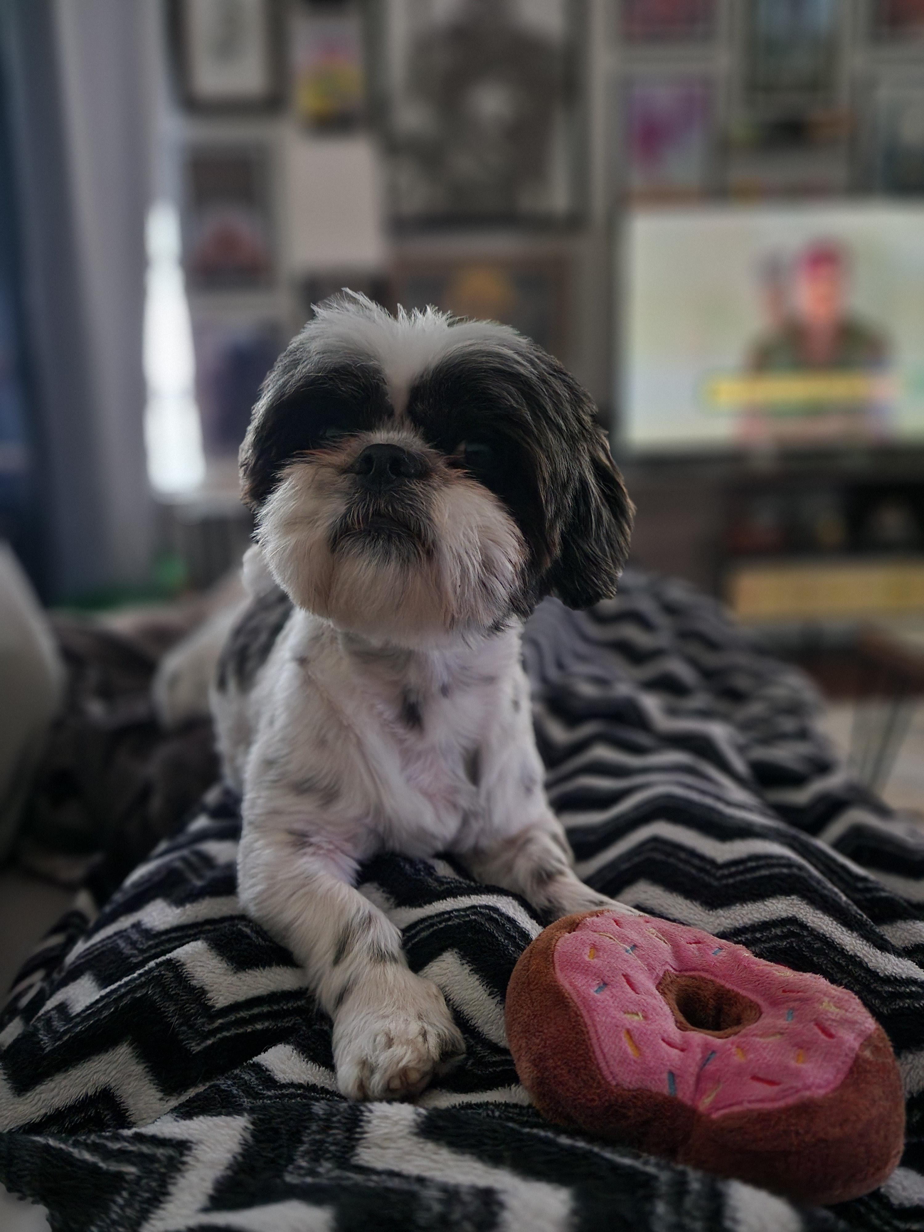 Taking care of his sick papa | Scrolller