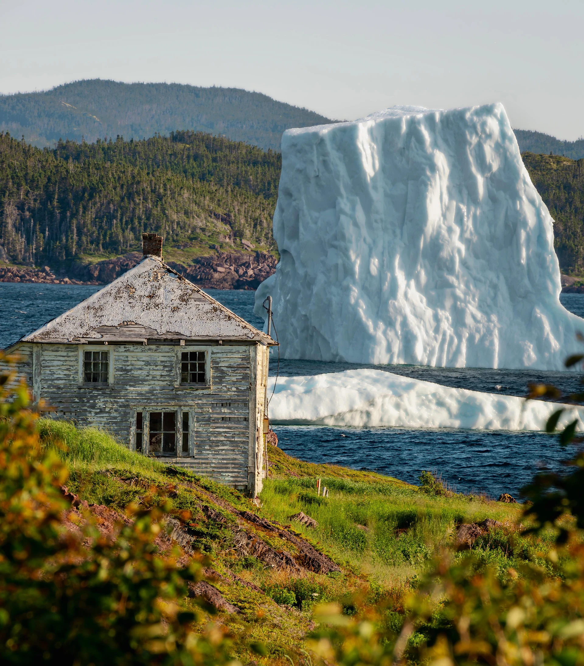 Open Hall | Scrolller