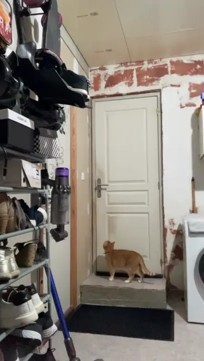 Open the door | Scrolller