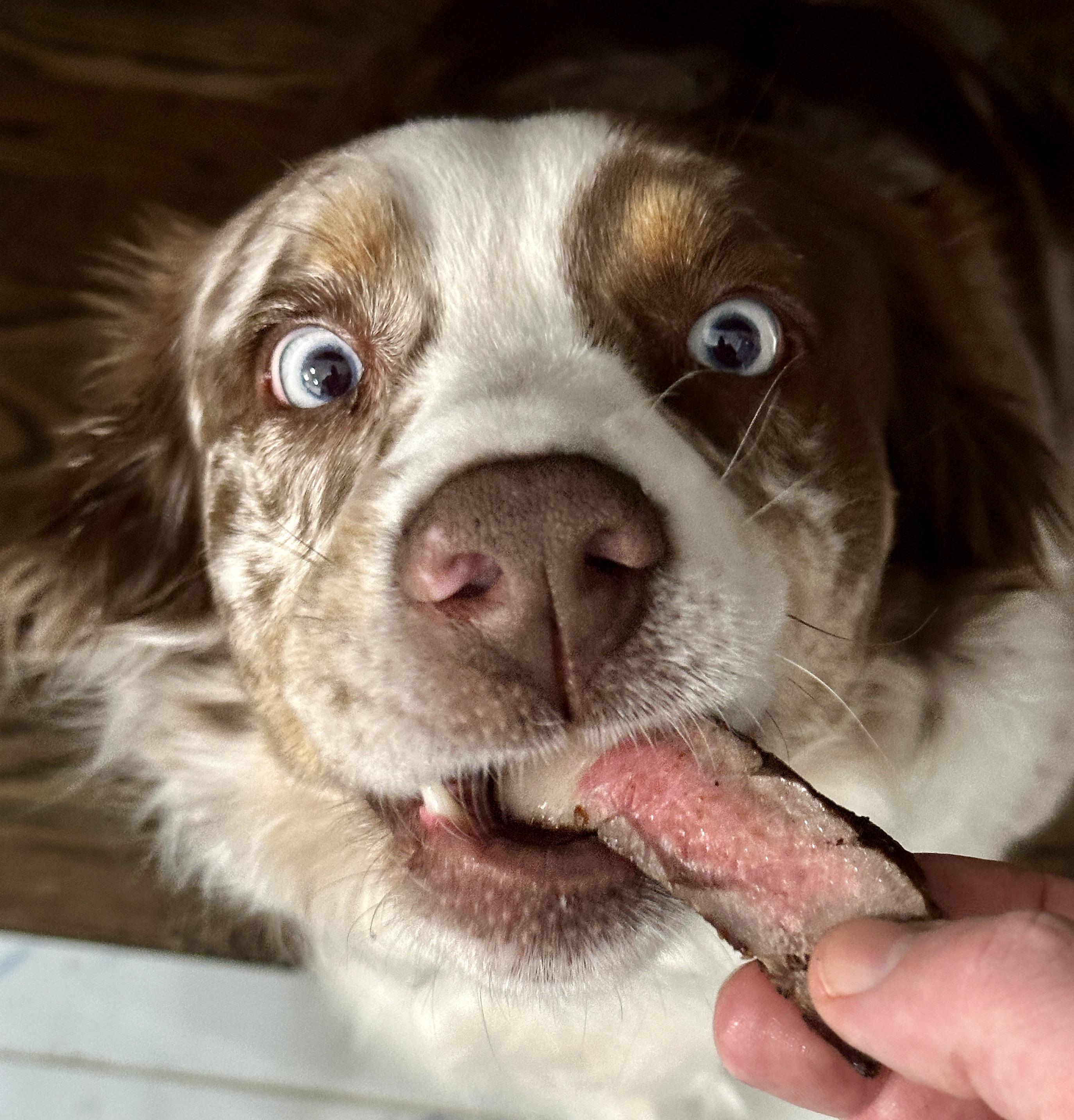 [homemade] steak and eggs. | Scrolller