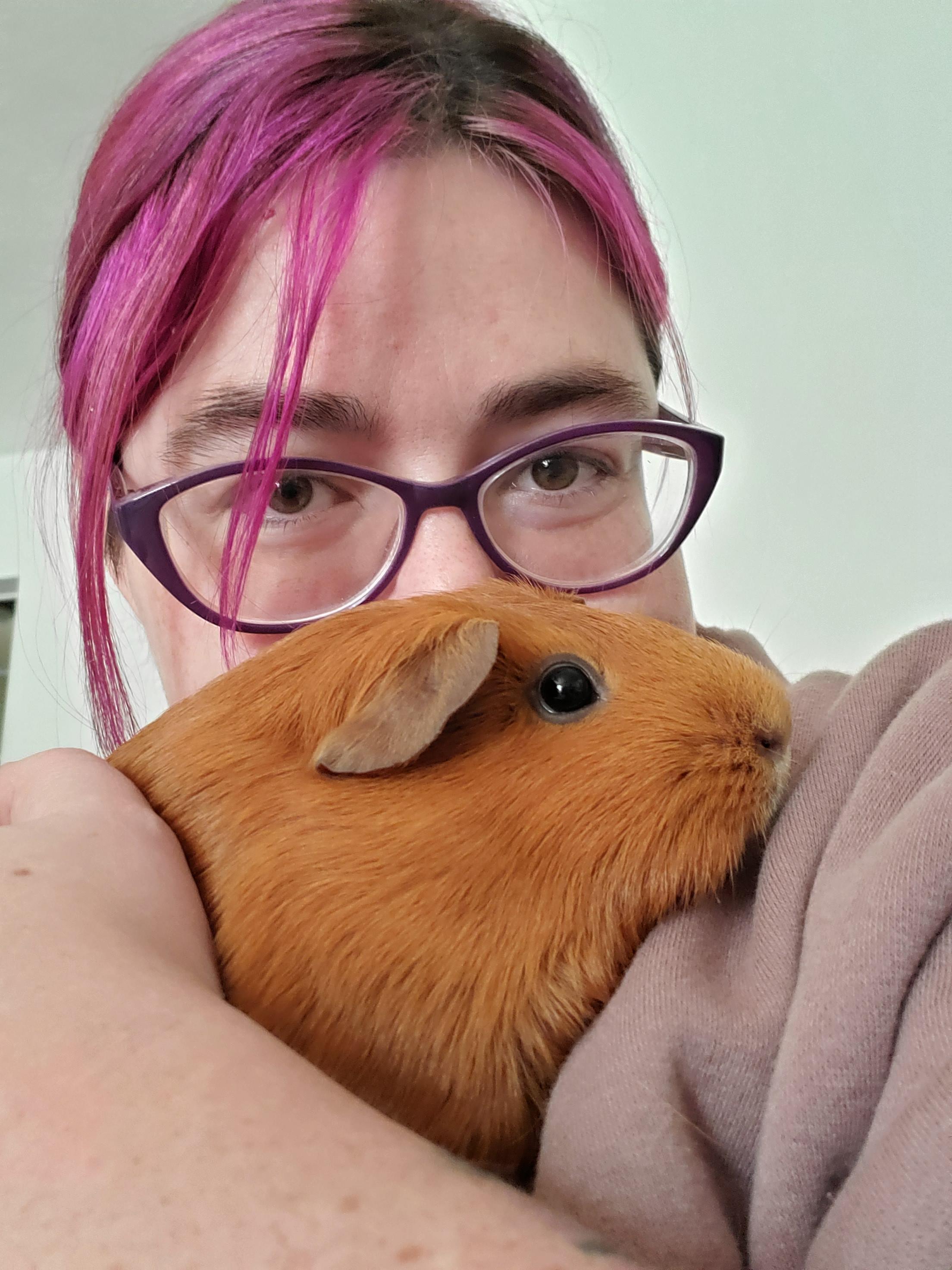 Lunch Break Snuggles with Maple | Scrolller