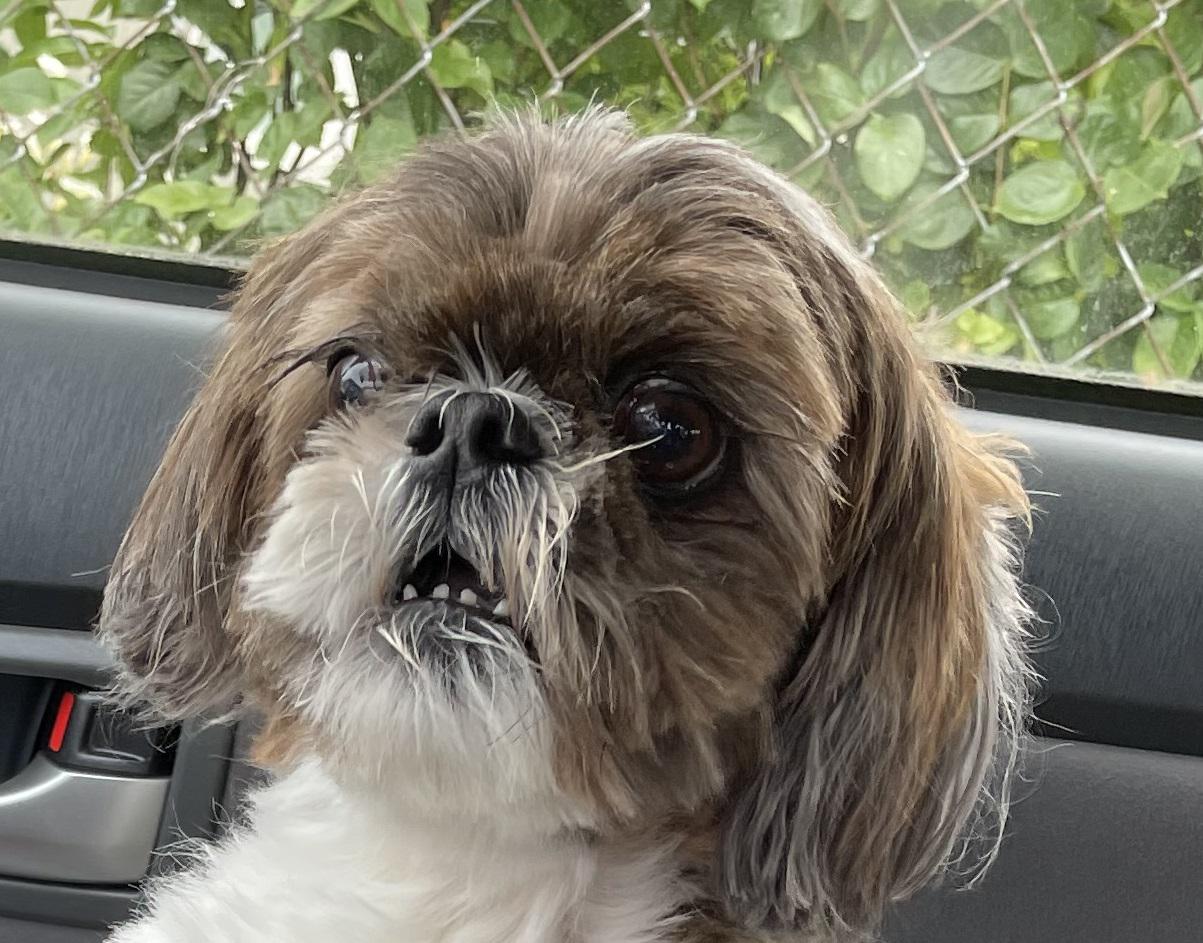 Gopher Move Pt. 3 | Scrolller