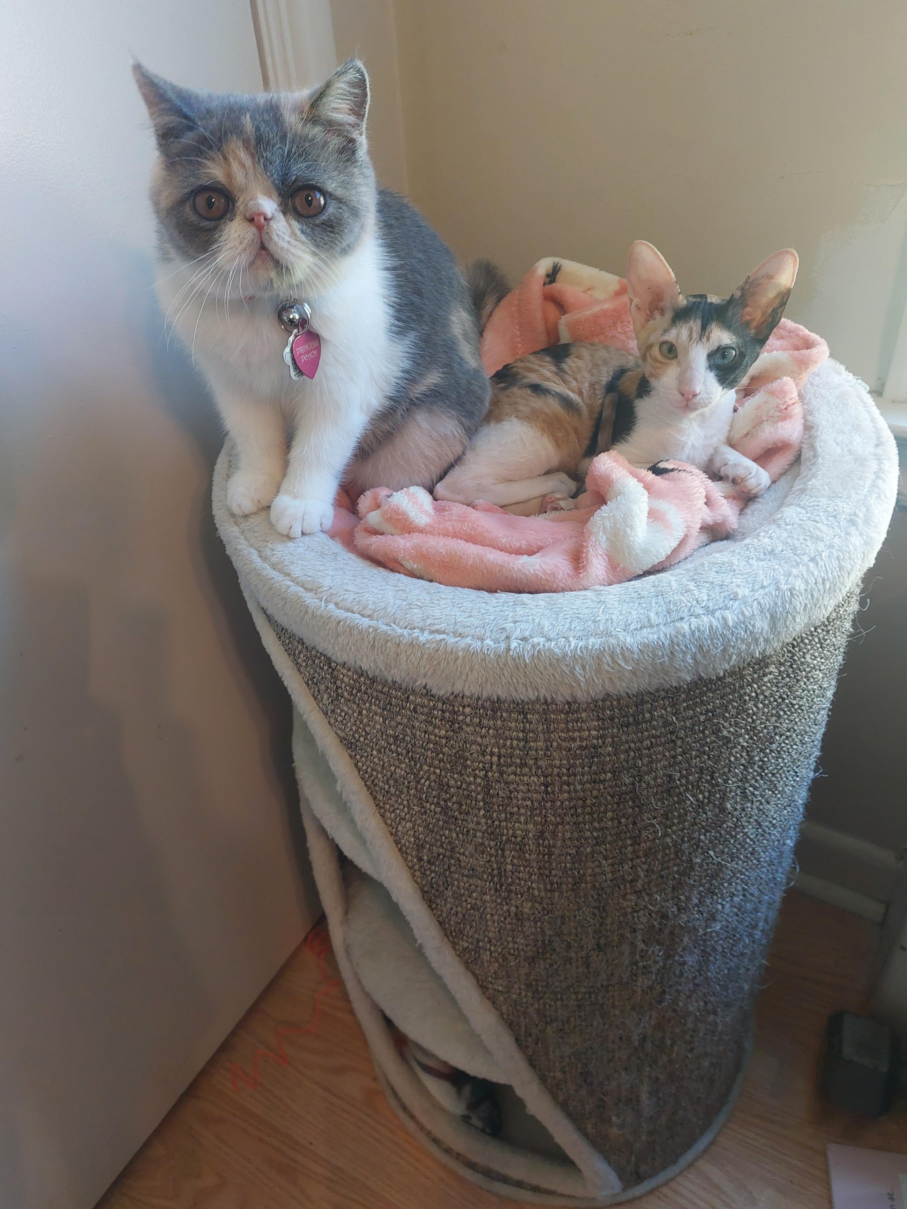 Our babies | Scrolller