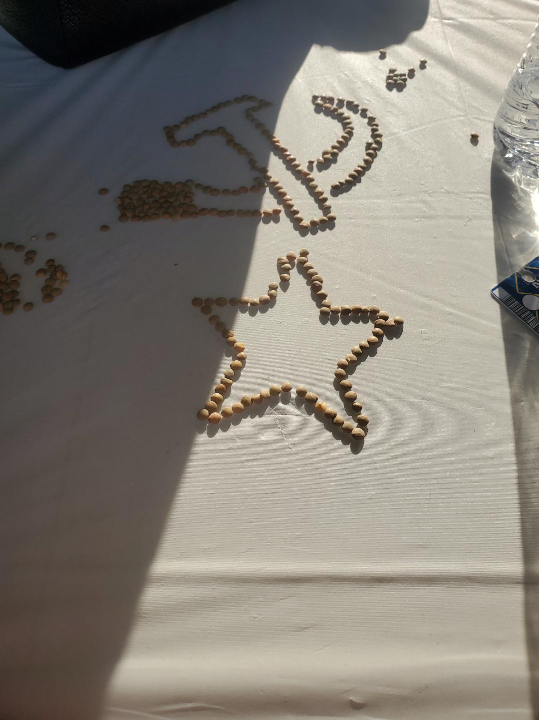 Our beans | Scrolller