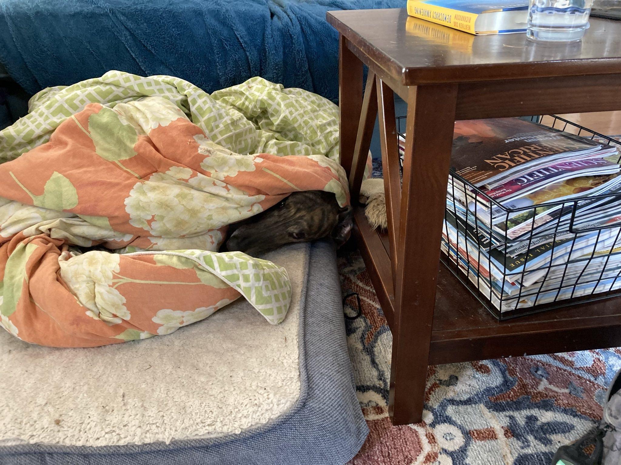 Our Snuggle Bug | Scrolller