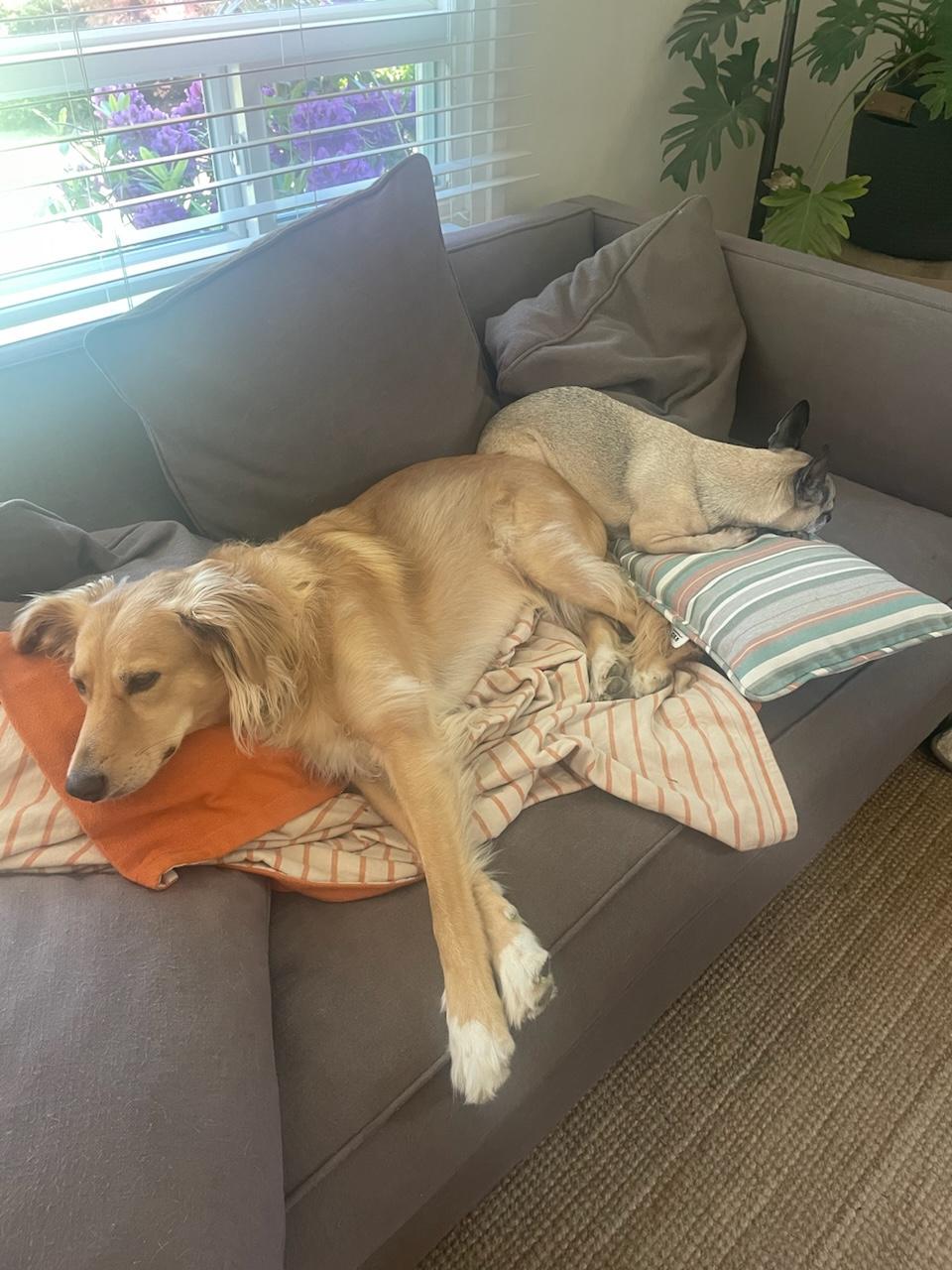 Our turn | Scrolller