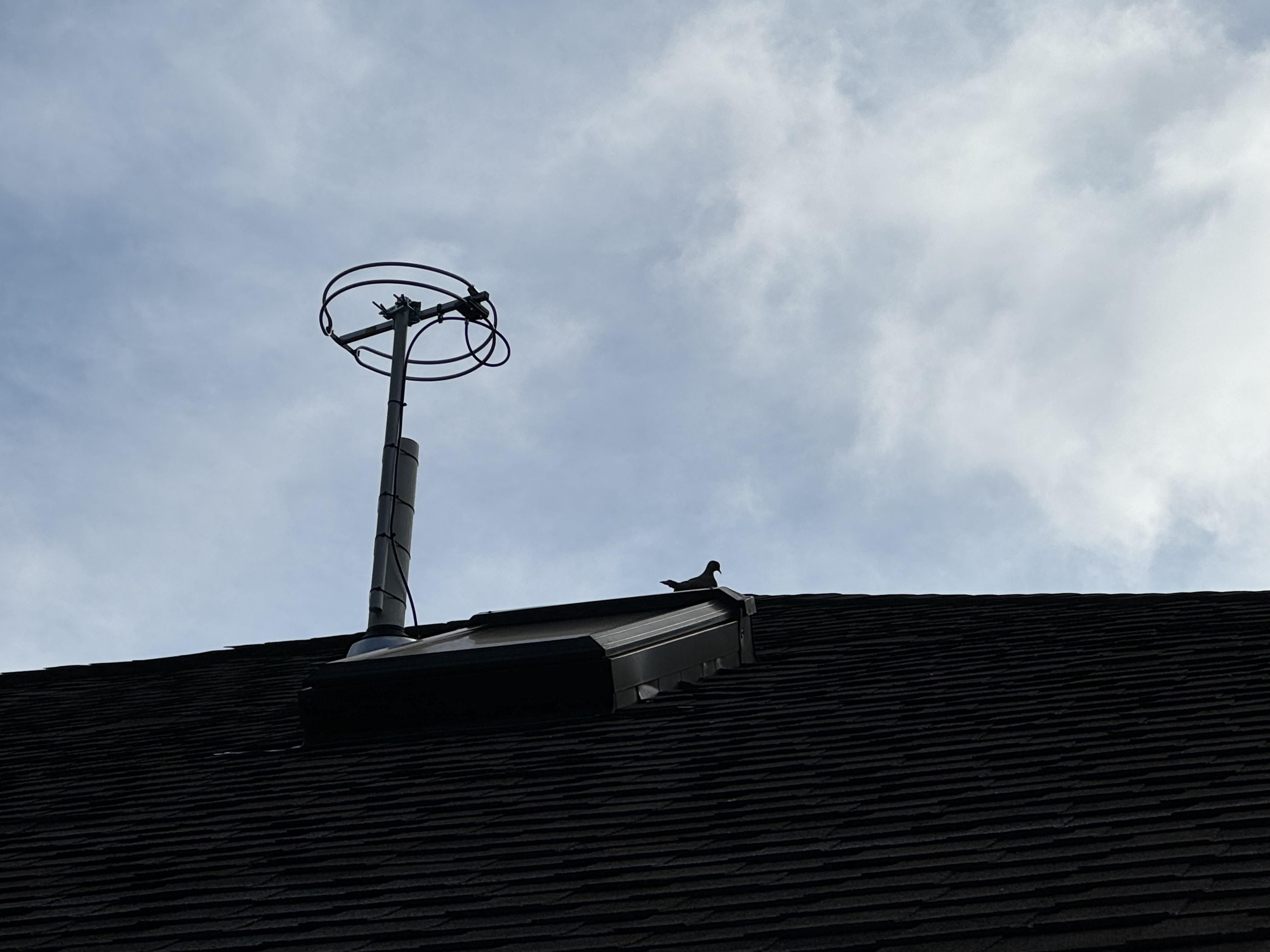 Ota | Pictures | Scrolller