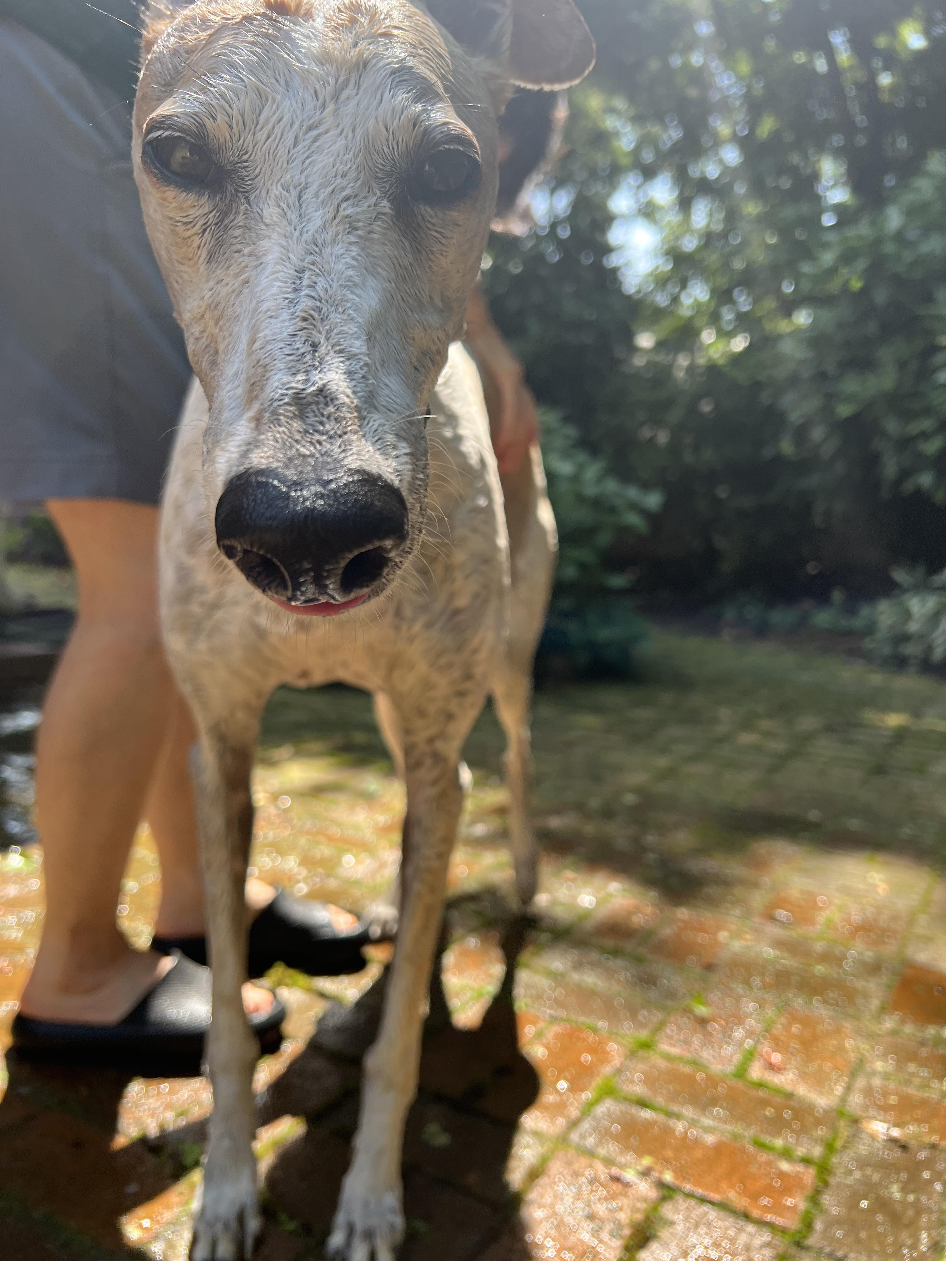 Bath day mlems | Scrolller