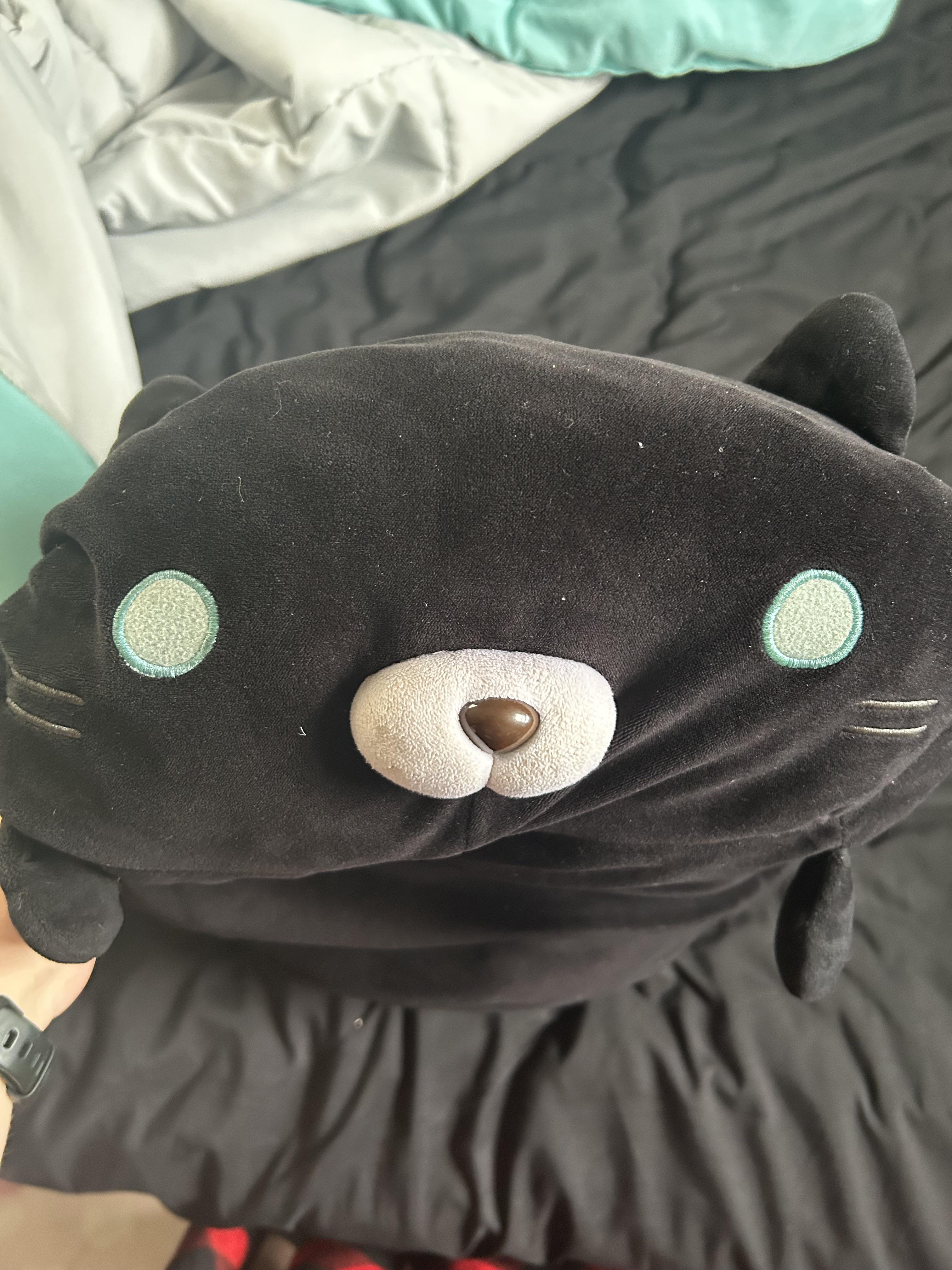 Cleaning this plush… | Scrolller