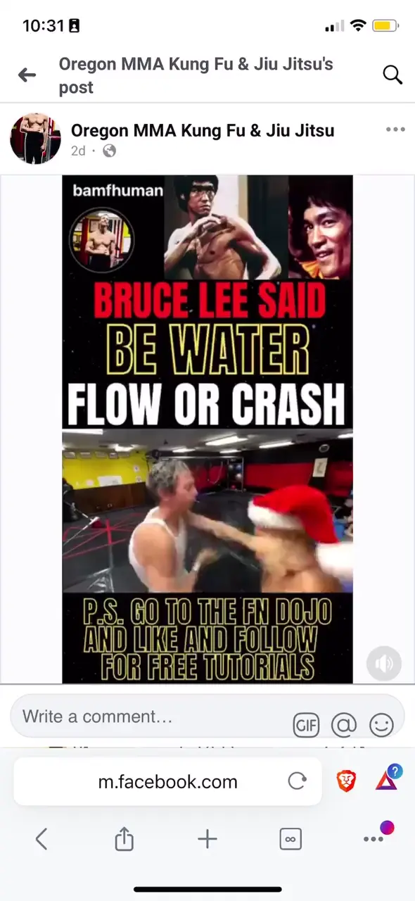 P.S. GO TO THE FN DOJO AND LIKE AND FOLLOW | Scrolller