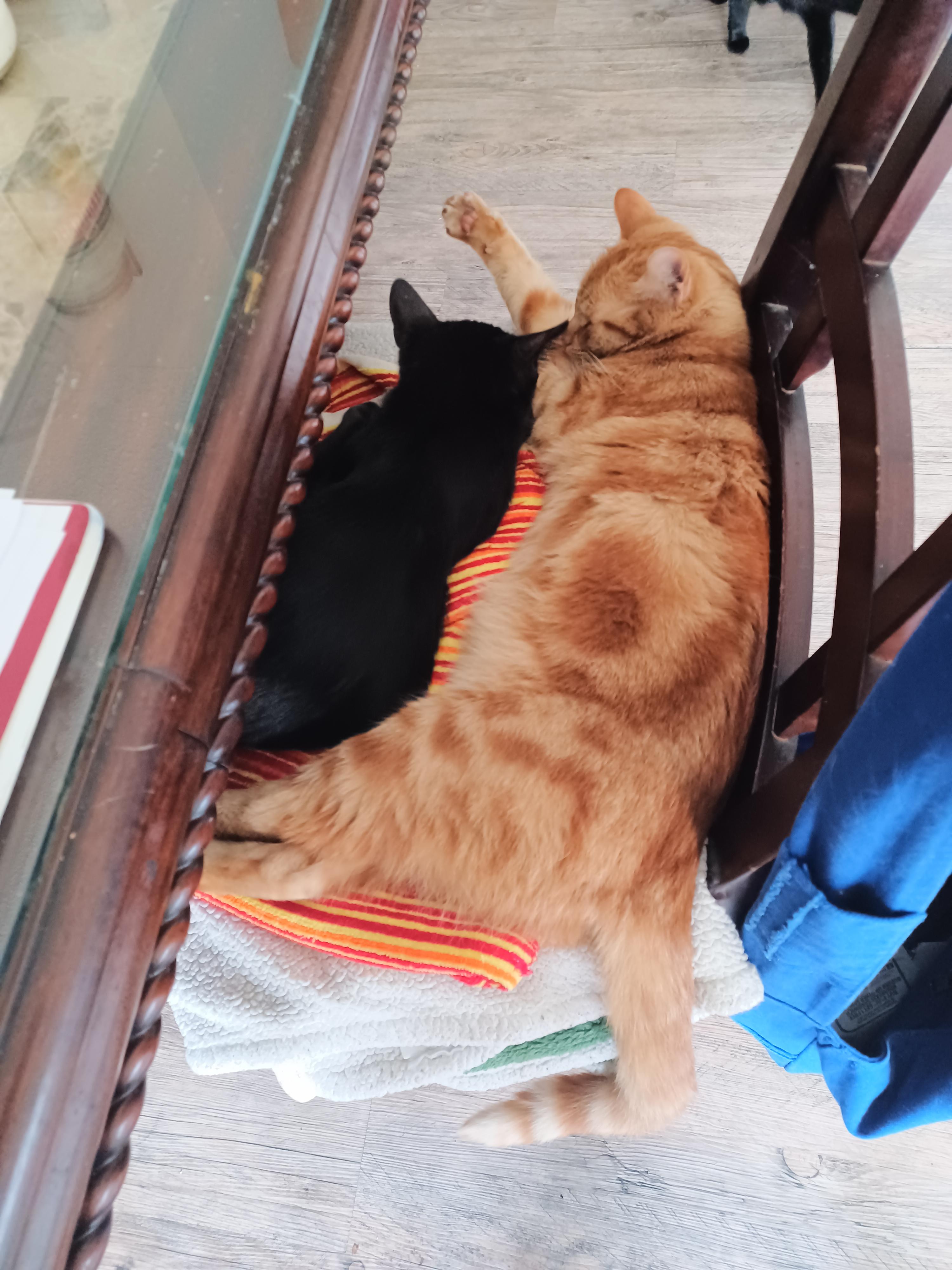 Brothers! | Scrolller