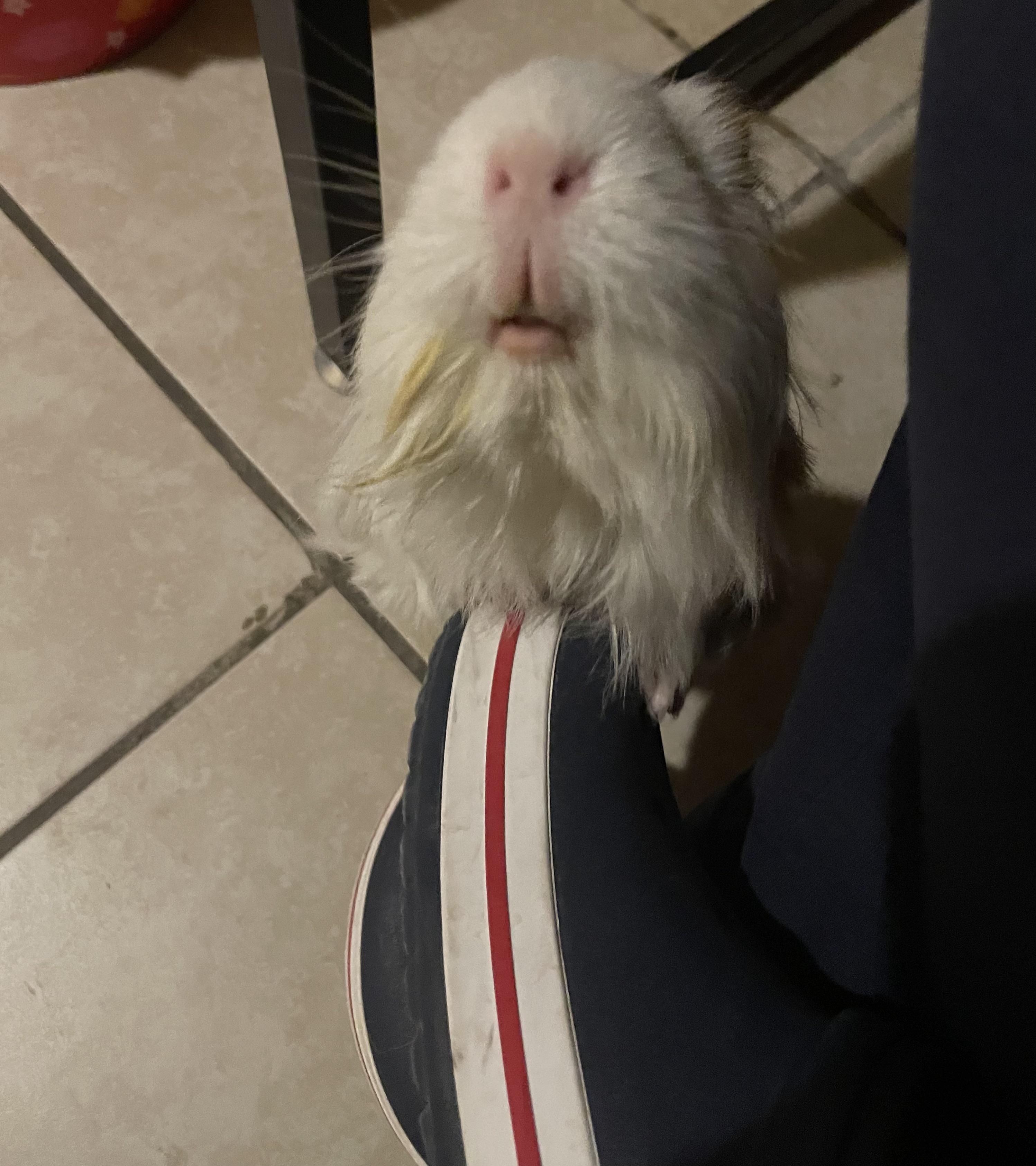 More snacks mom | Scrolller