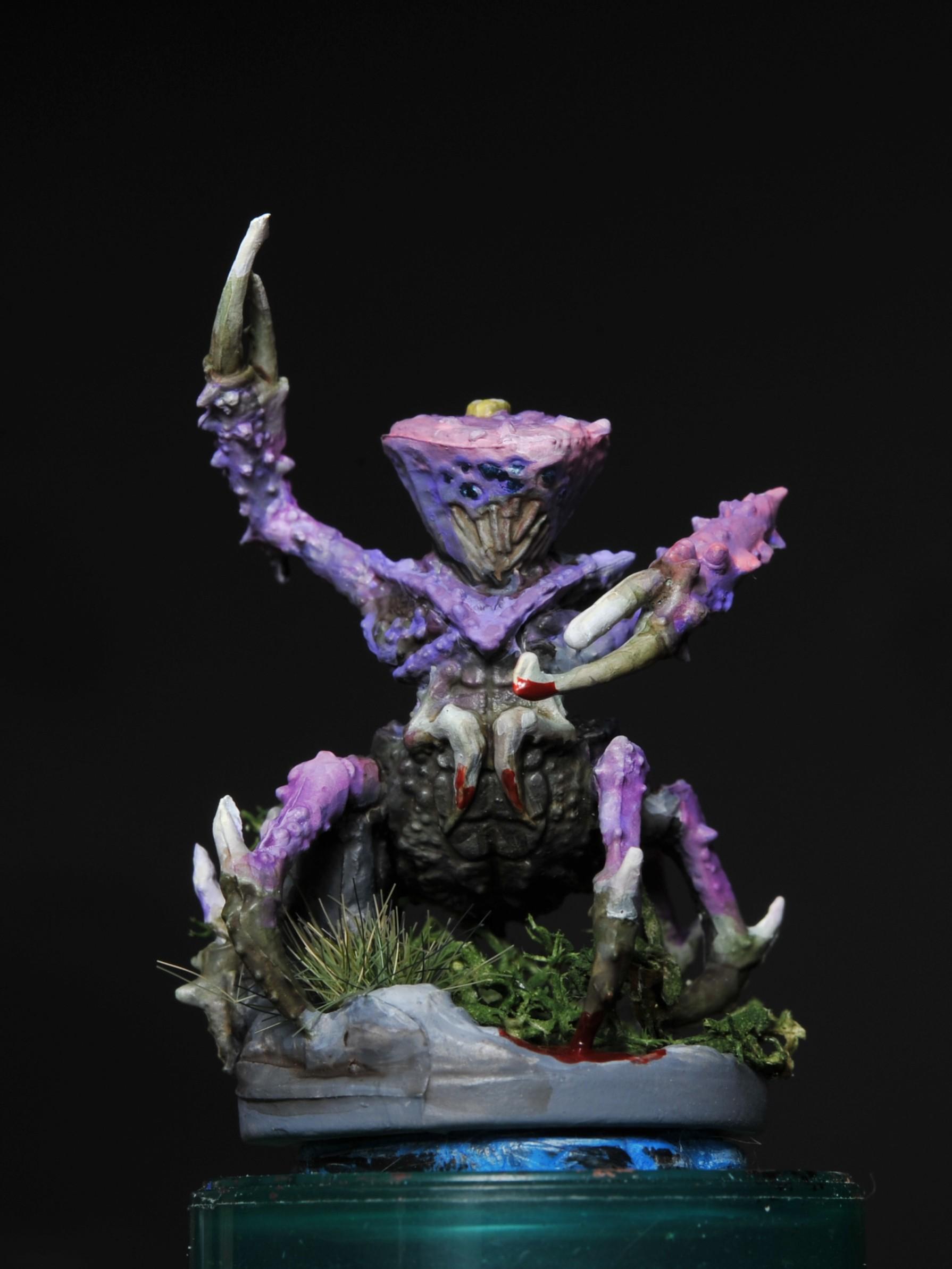 Frosthaven Kelp Painted | Scrolller