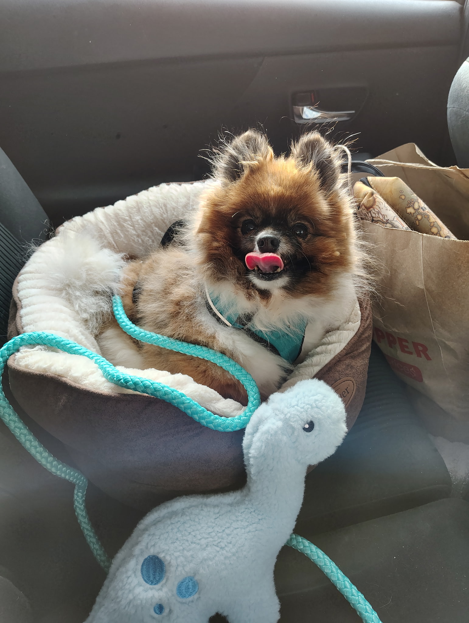 Update on patches. | Scrolller