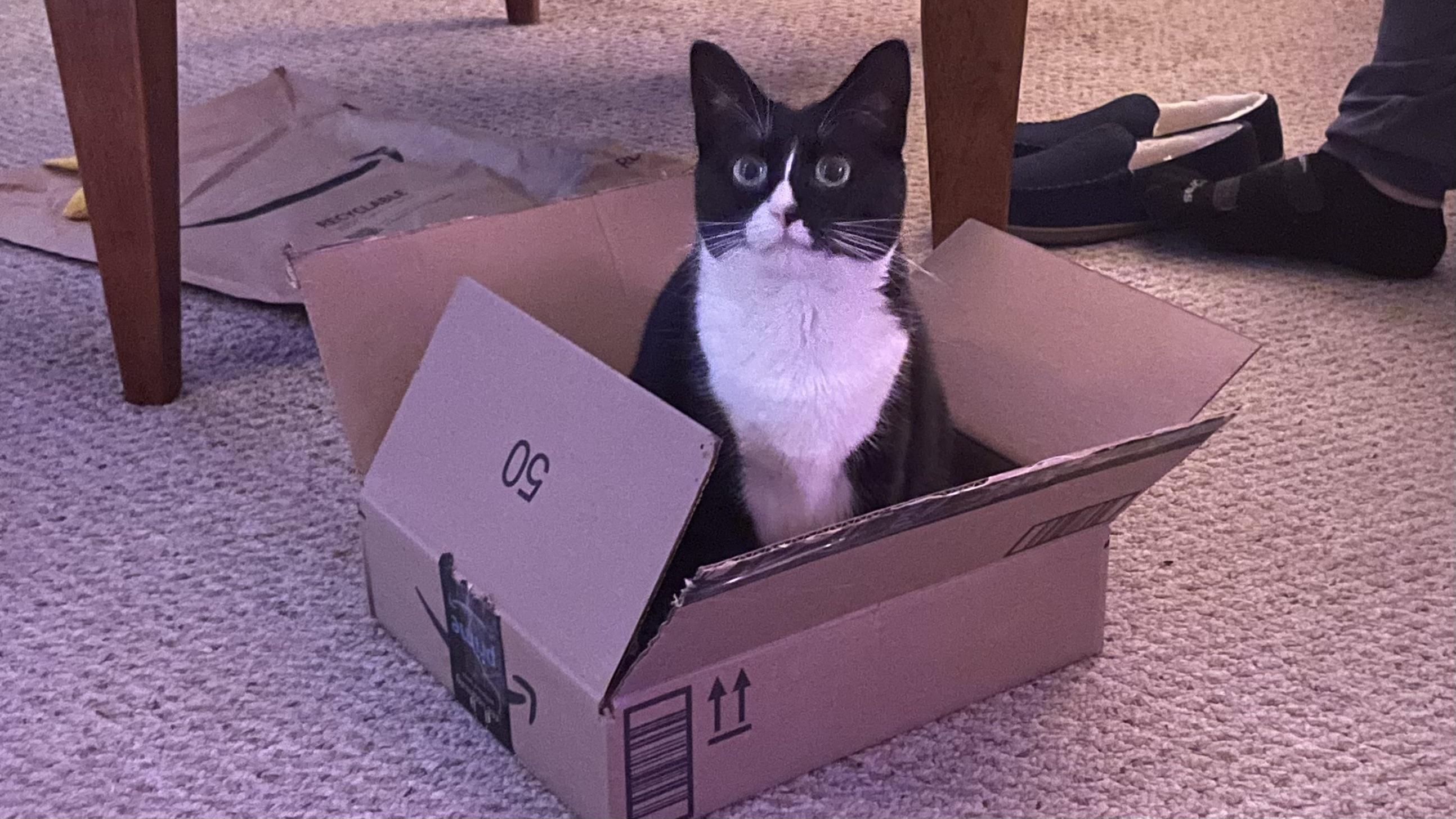 Meet Minnie | Scrolller