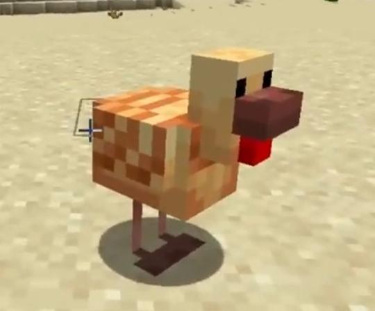 Drew the new chickens | Scrolller